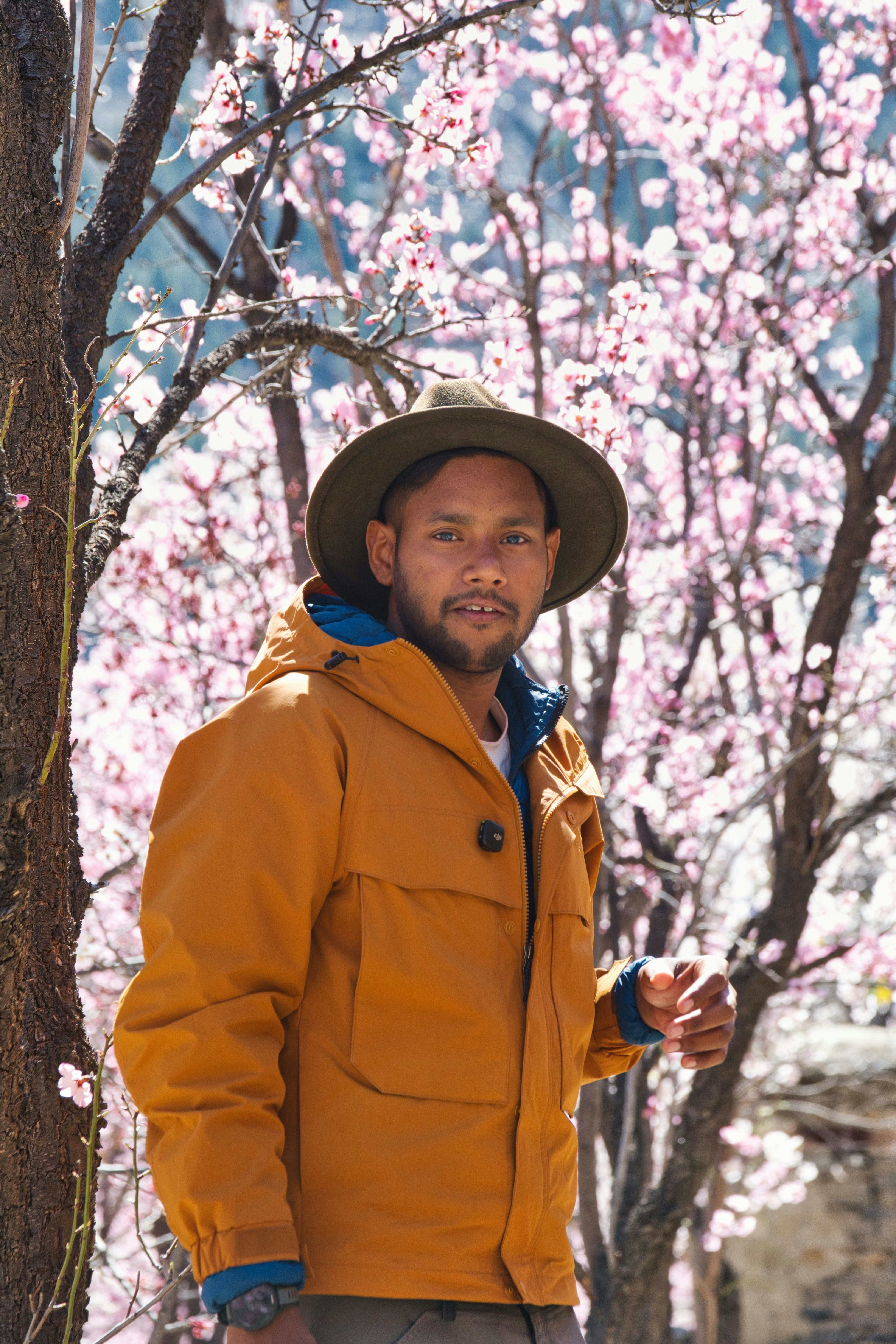 Autumnal Traveler Amid Blossom Gaze