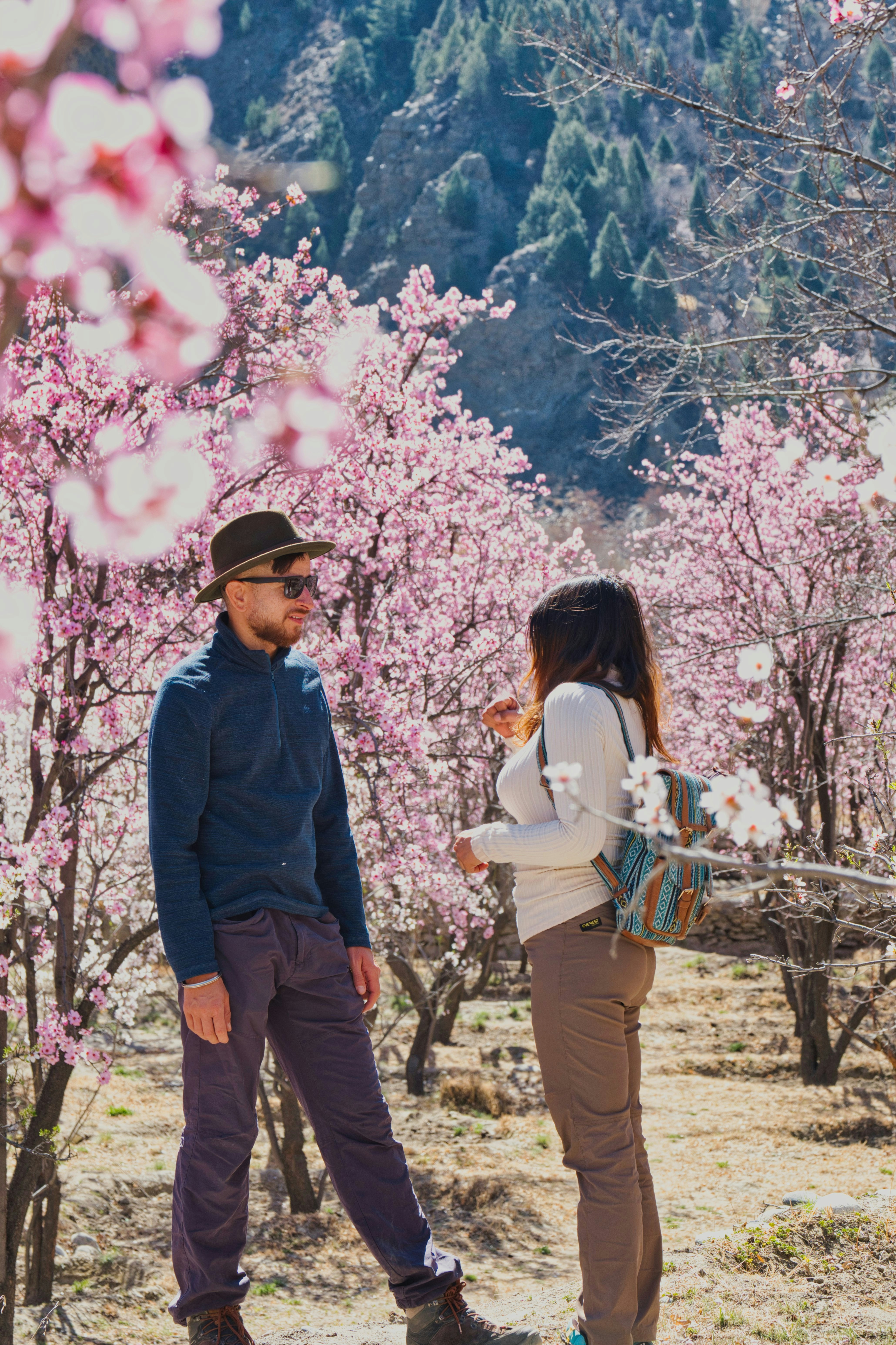Blossom Valley Encounter