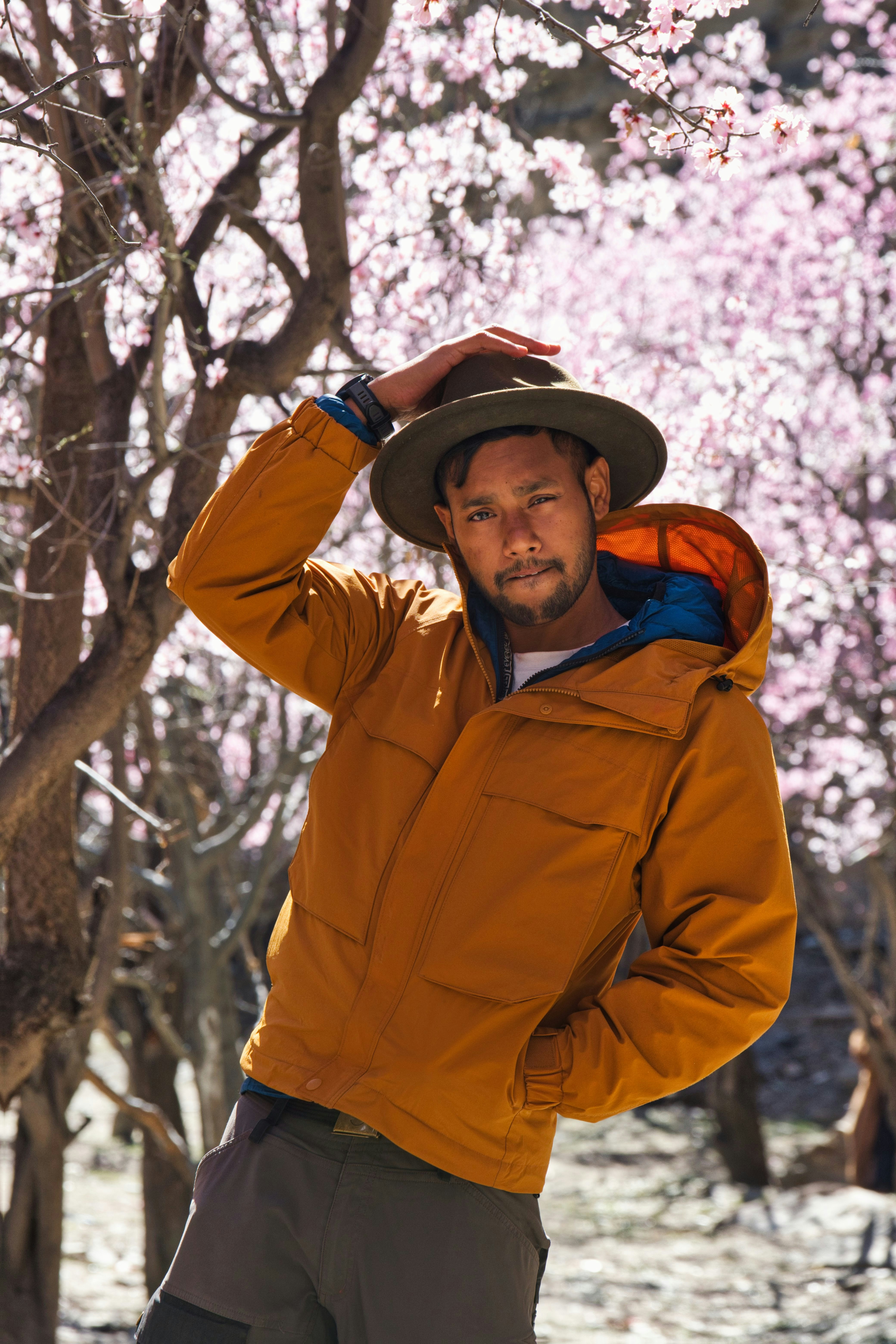 Portrait Under Cherry Bloom: A Man in an Amber Jacket Anchored by a Wide-brimmed Hat