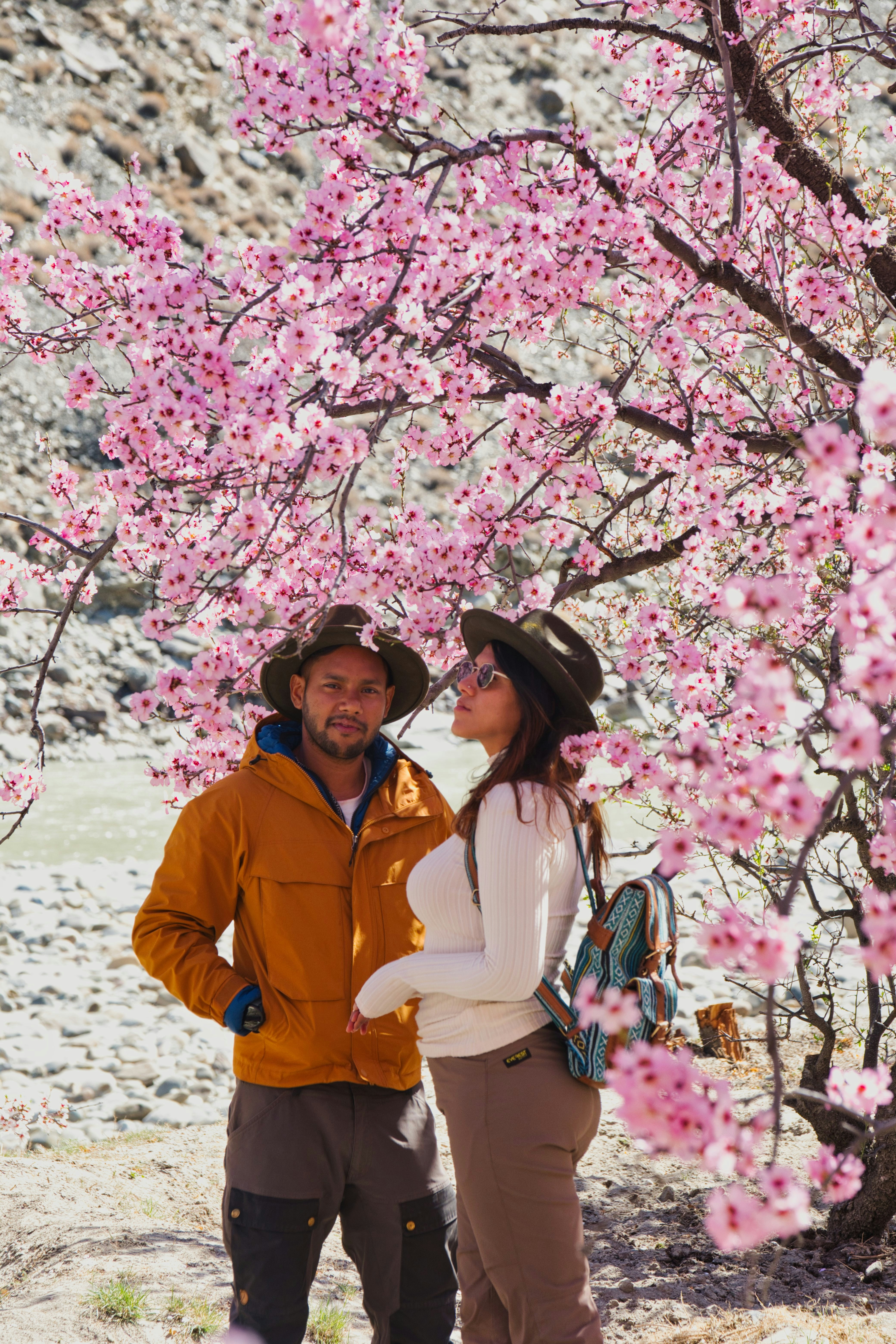 Under a Pink Blossom Canopy: Two Travelers in Autumn Light