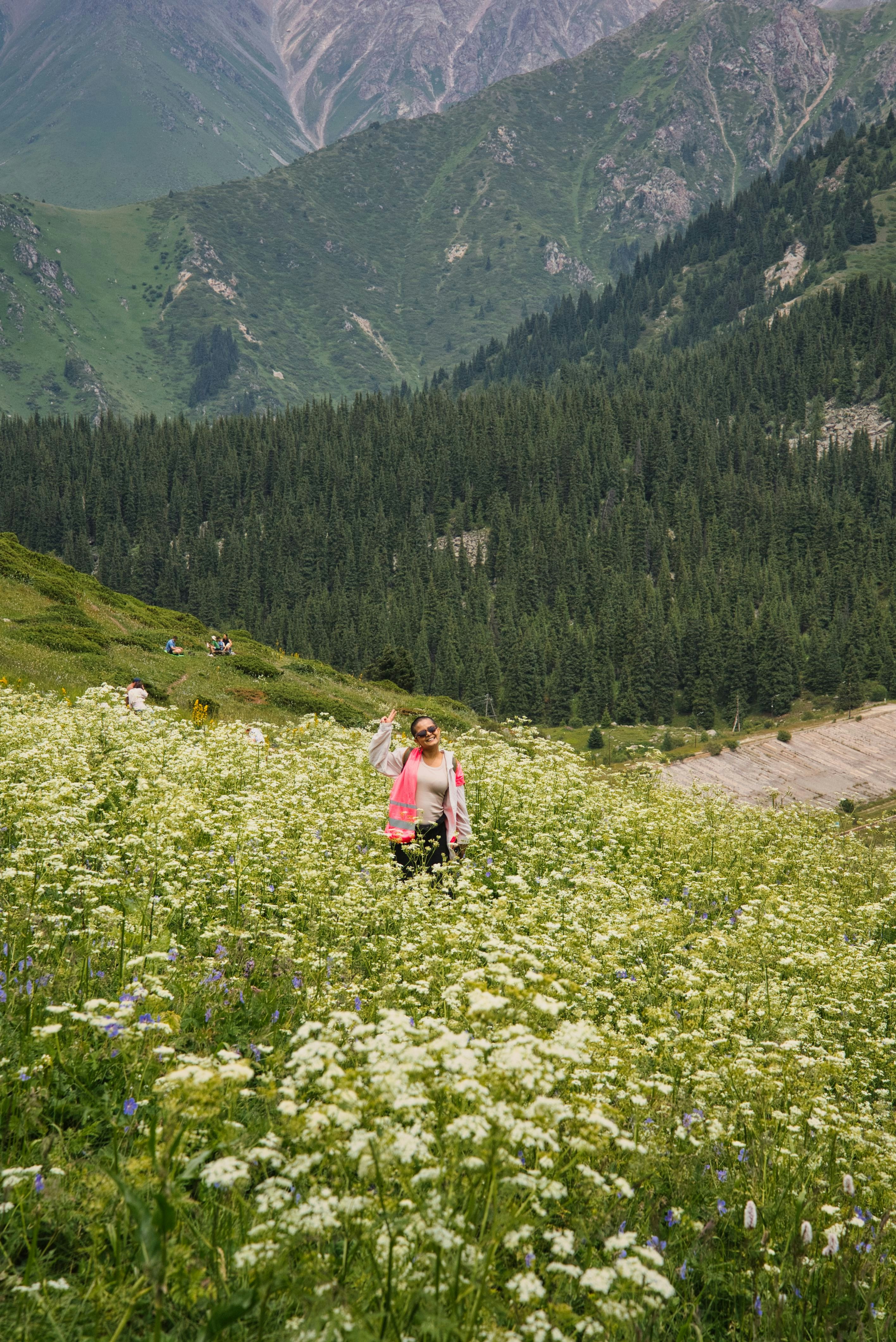 Field of Wildflowers under Alpine Ridge