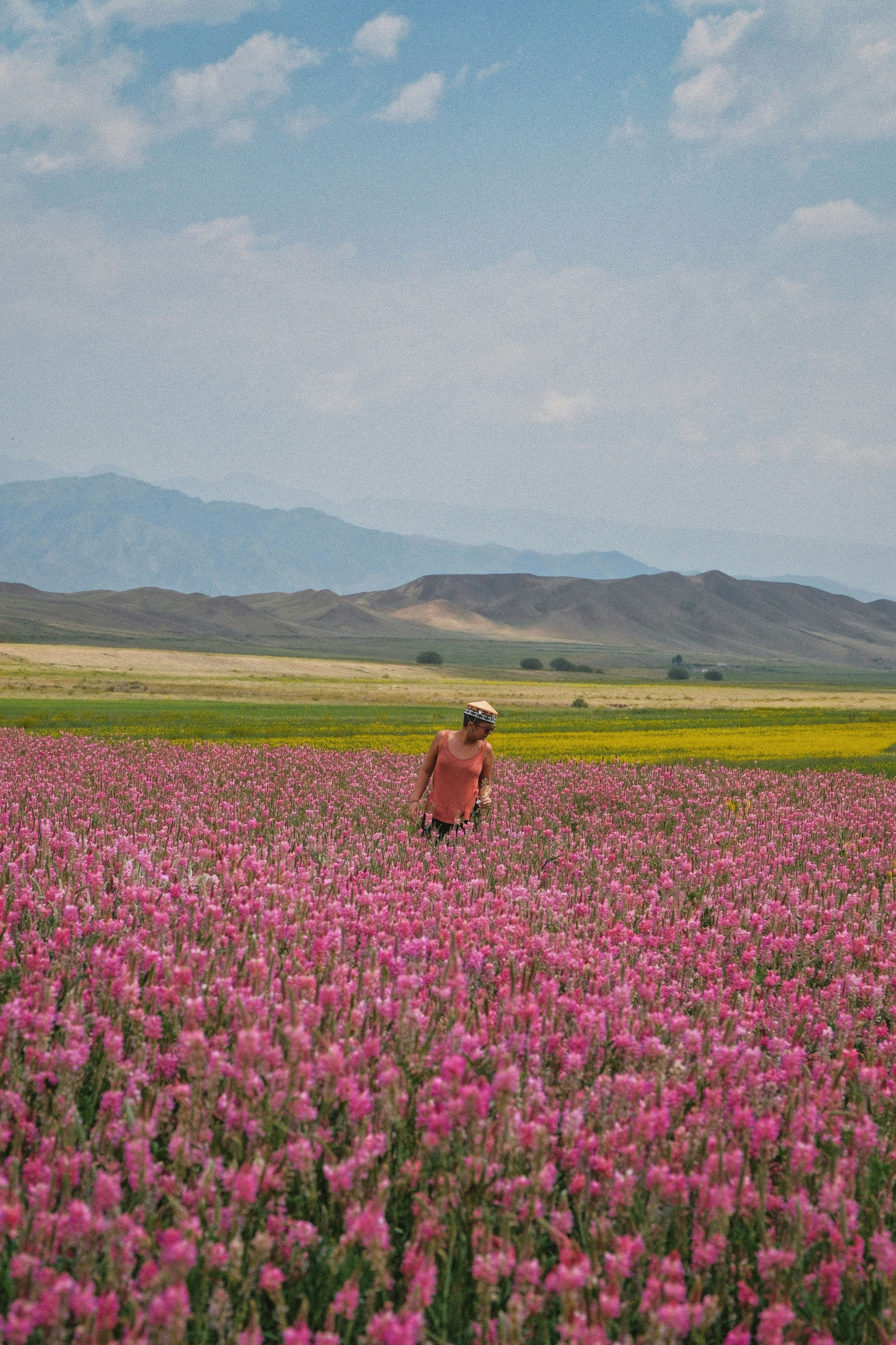 Runner in a Pink Sea: A Field of Tall Pink Blooms
