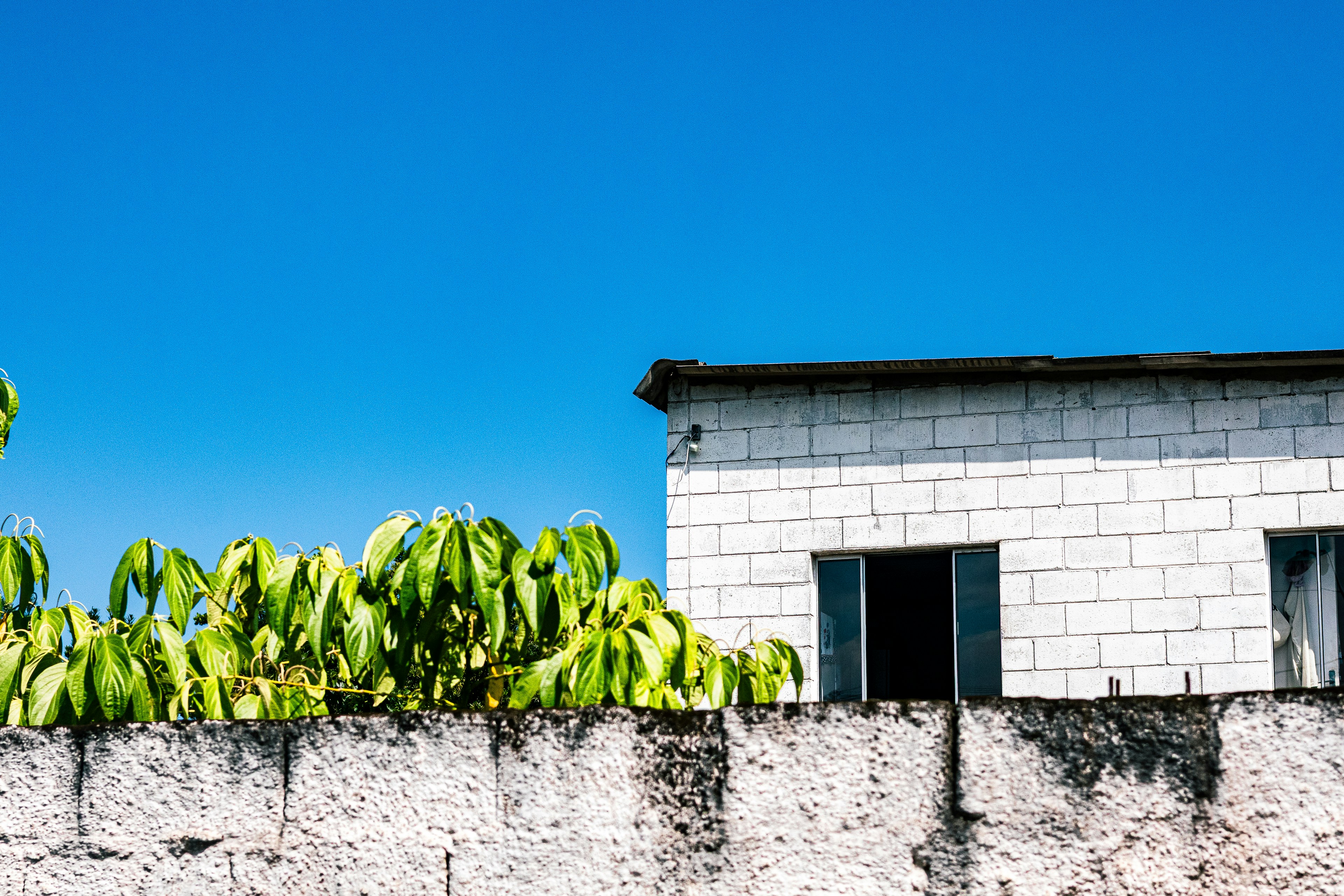 Concrete Edge: Sunlit Wall and Rooftop Terrace