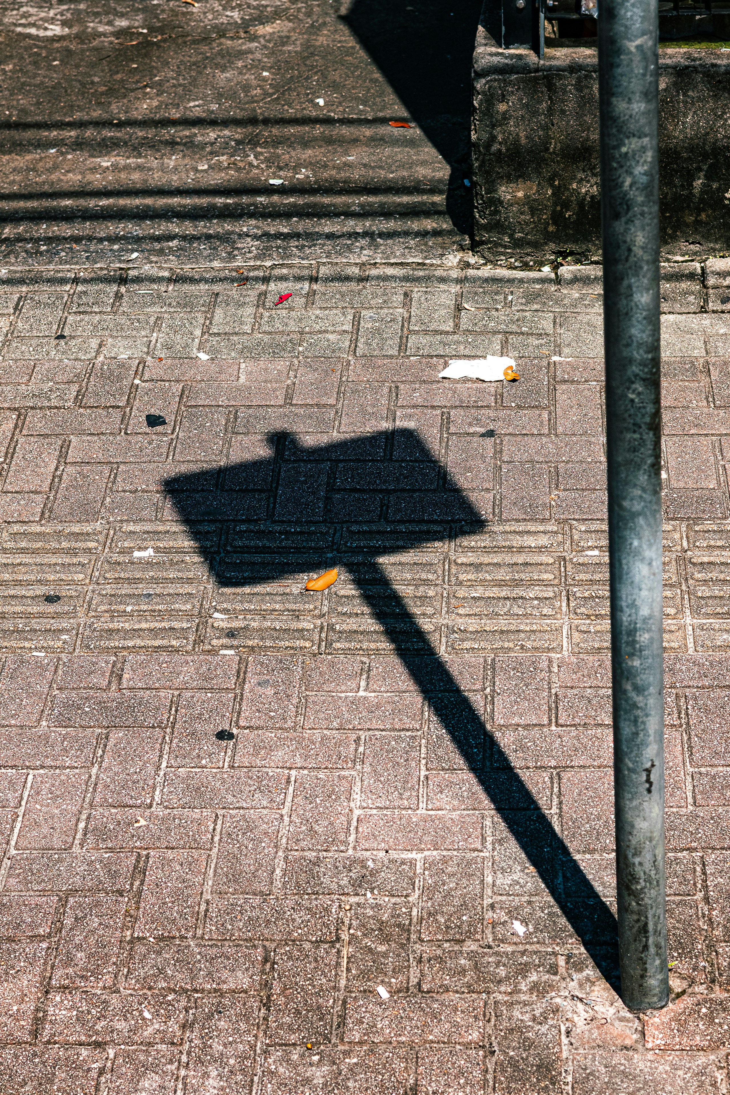 Shadow Square: A City Moment Framed by a Pavement Shadow