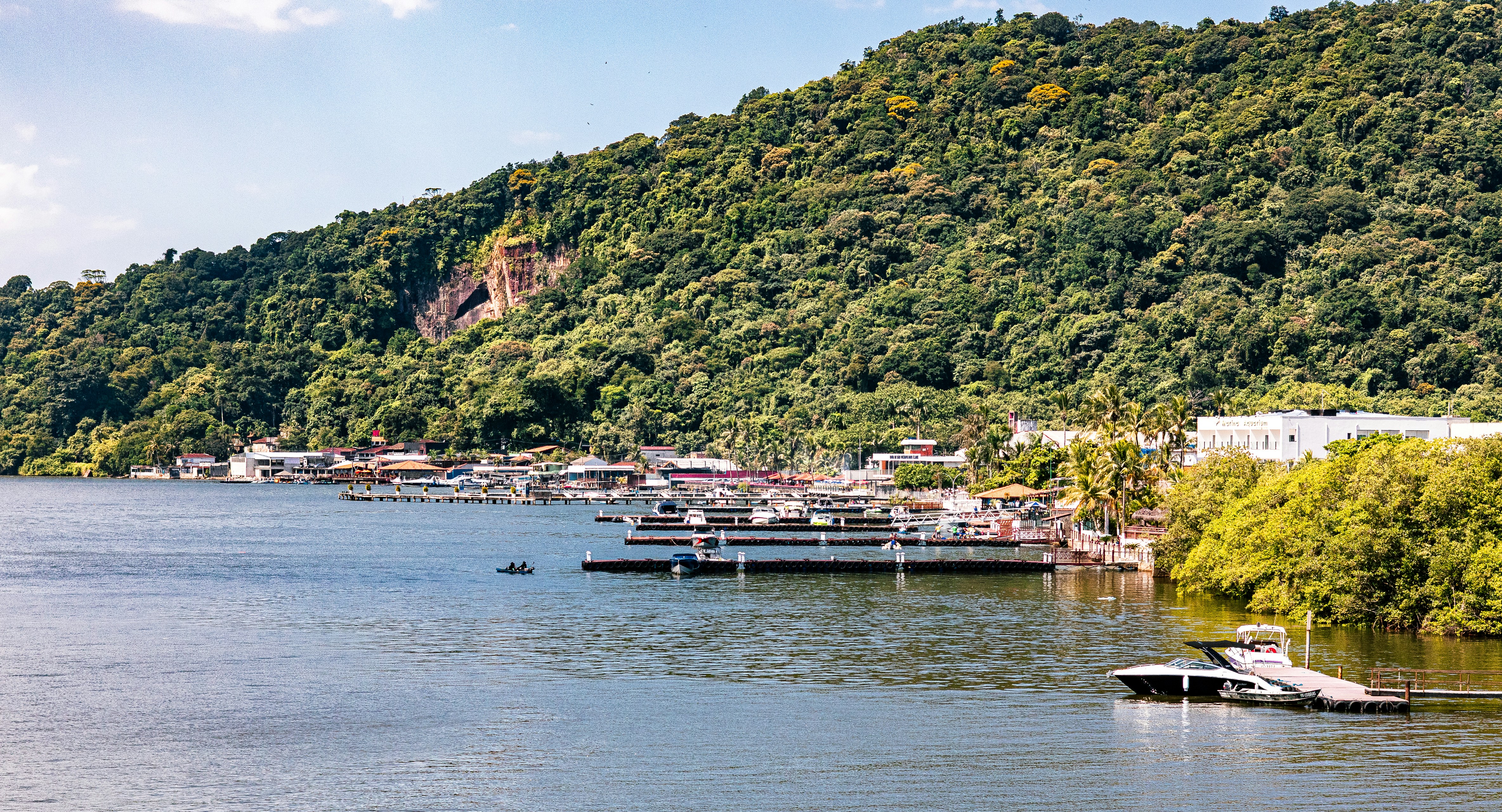 Harbor Houses Lining the Emerald Hills