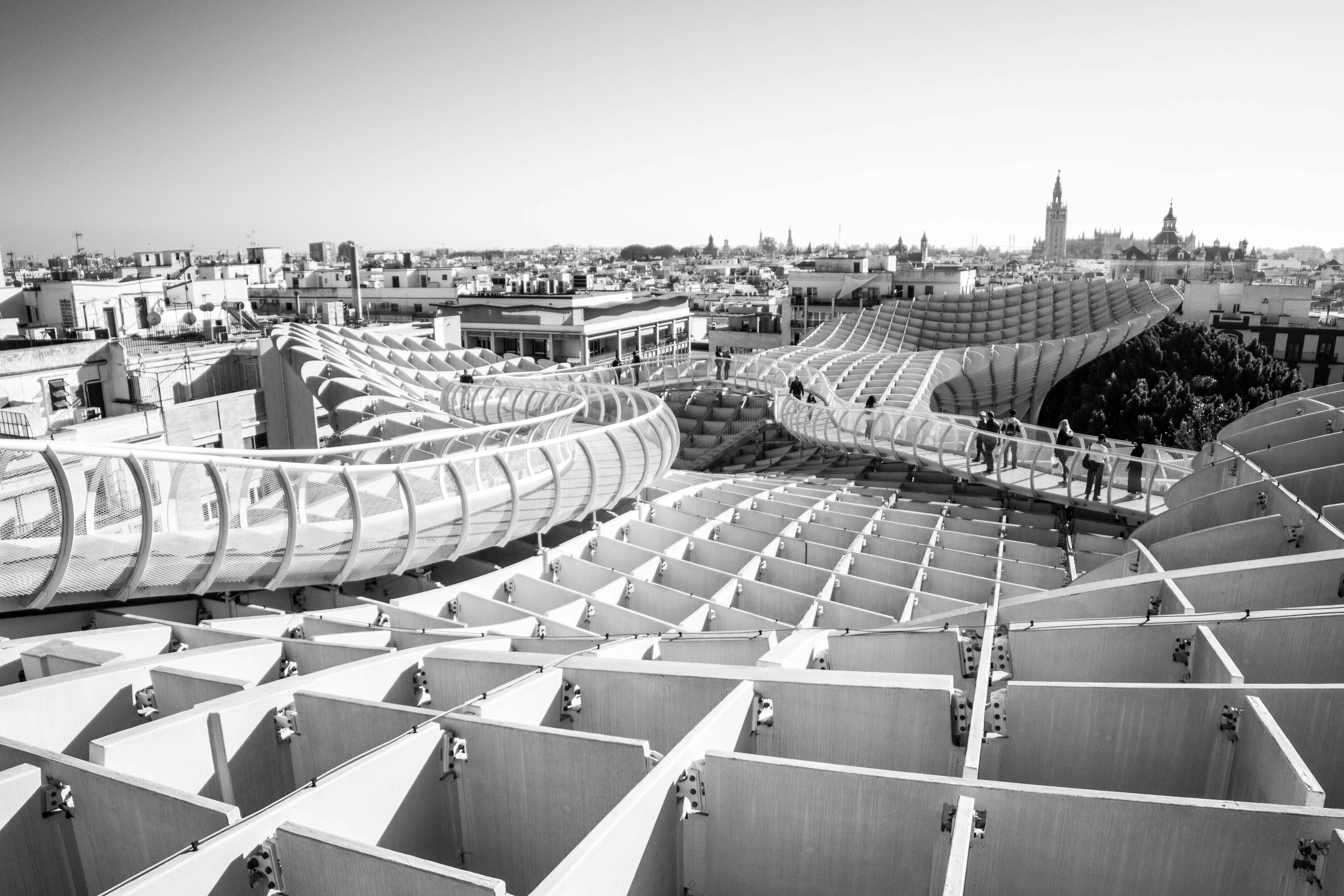 Woven Rooflines: A City Silhouette Quietly Framed by Skeletal Architecture