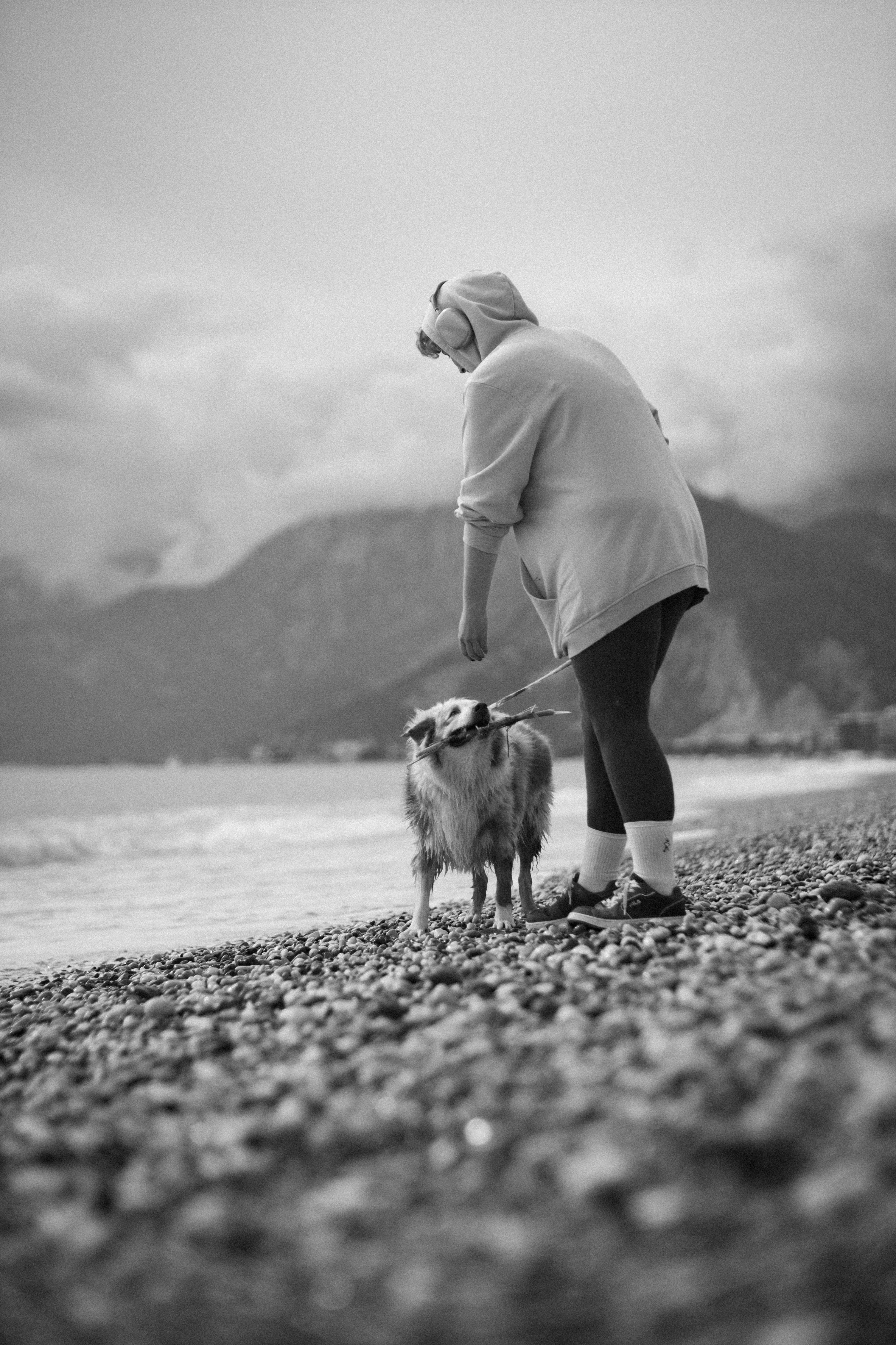 Gentle Shoreline Bond: A Woman and Her Dog by the Pebbled Beach