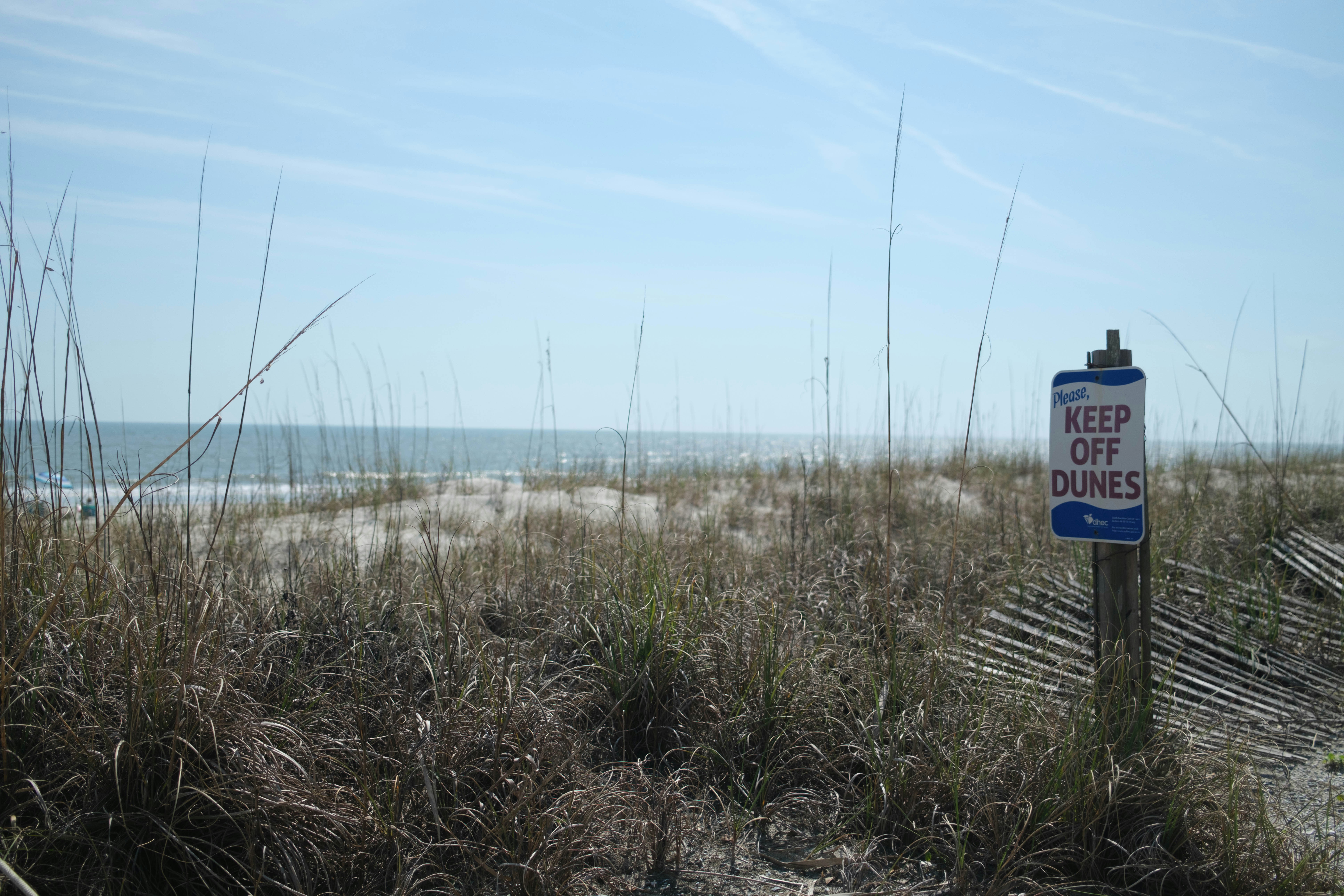Keep Off Dunes: A Quiet Beach Path to the Sea