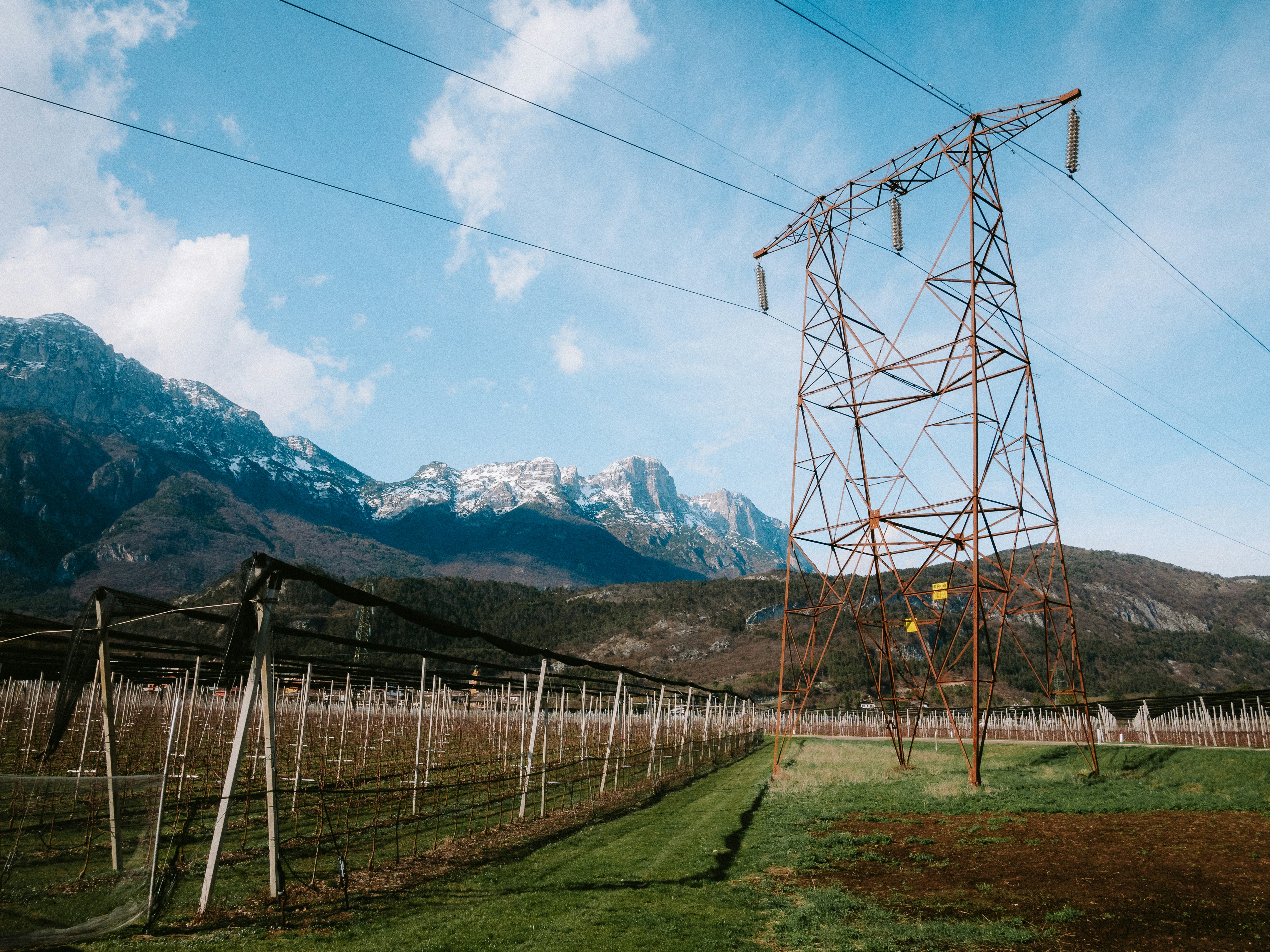 Power Lines Over Terraced Vines at the Foot of Snow-dusted Peaks