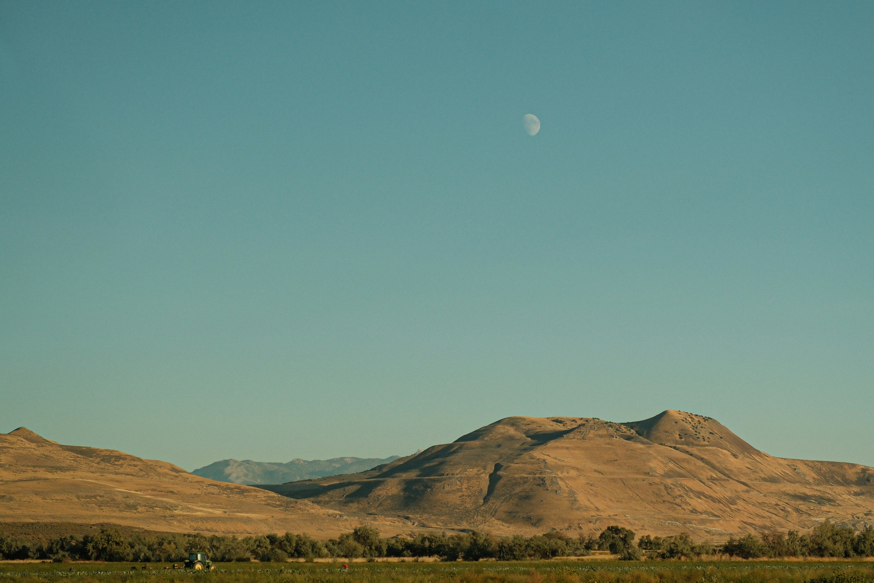 Dawn on the Desert Range