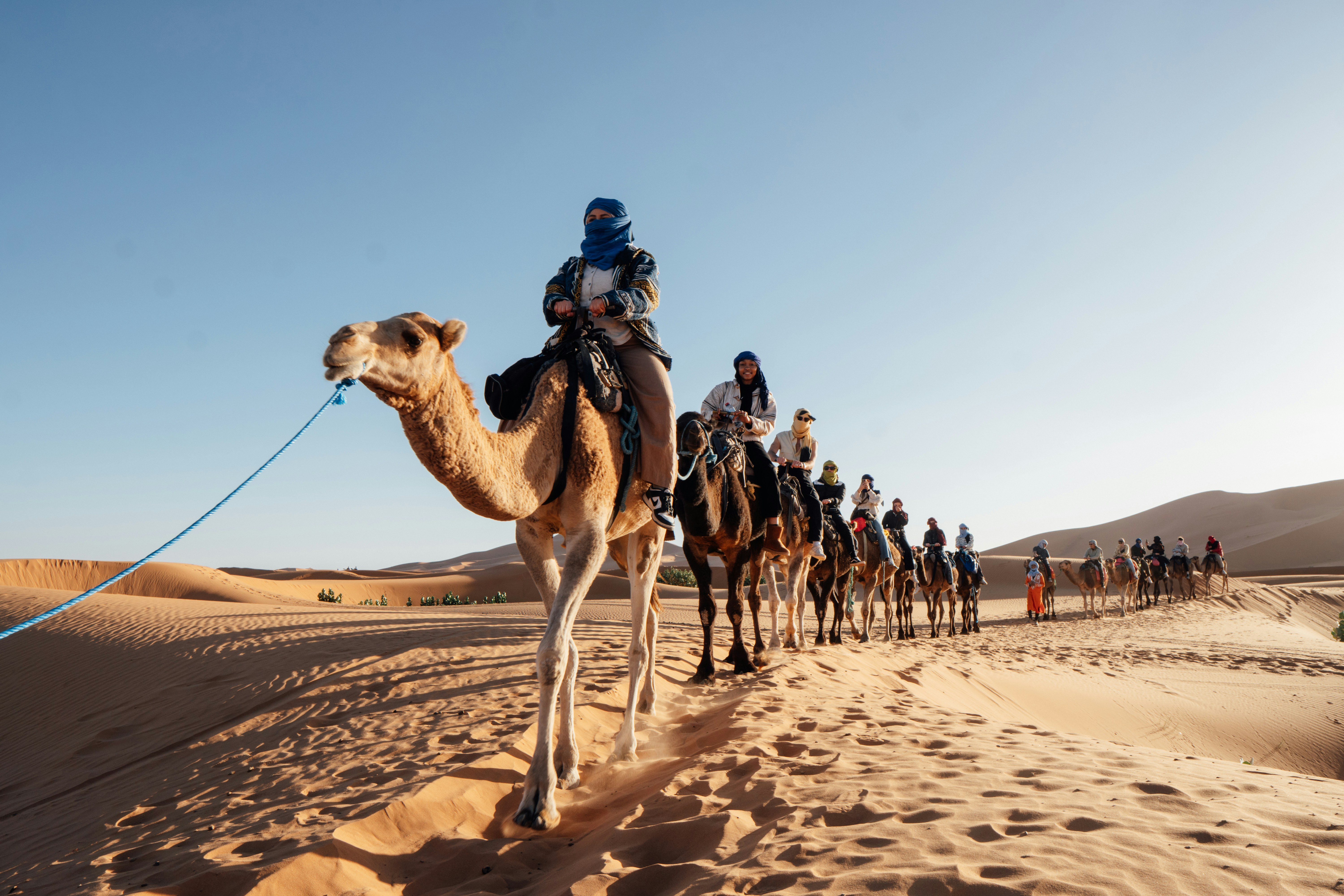 Desert Caravan: Camels Trek Across Sunlit Dunes