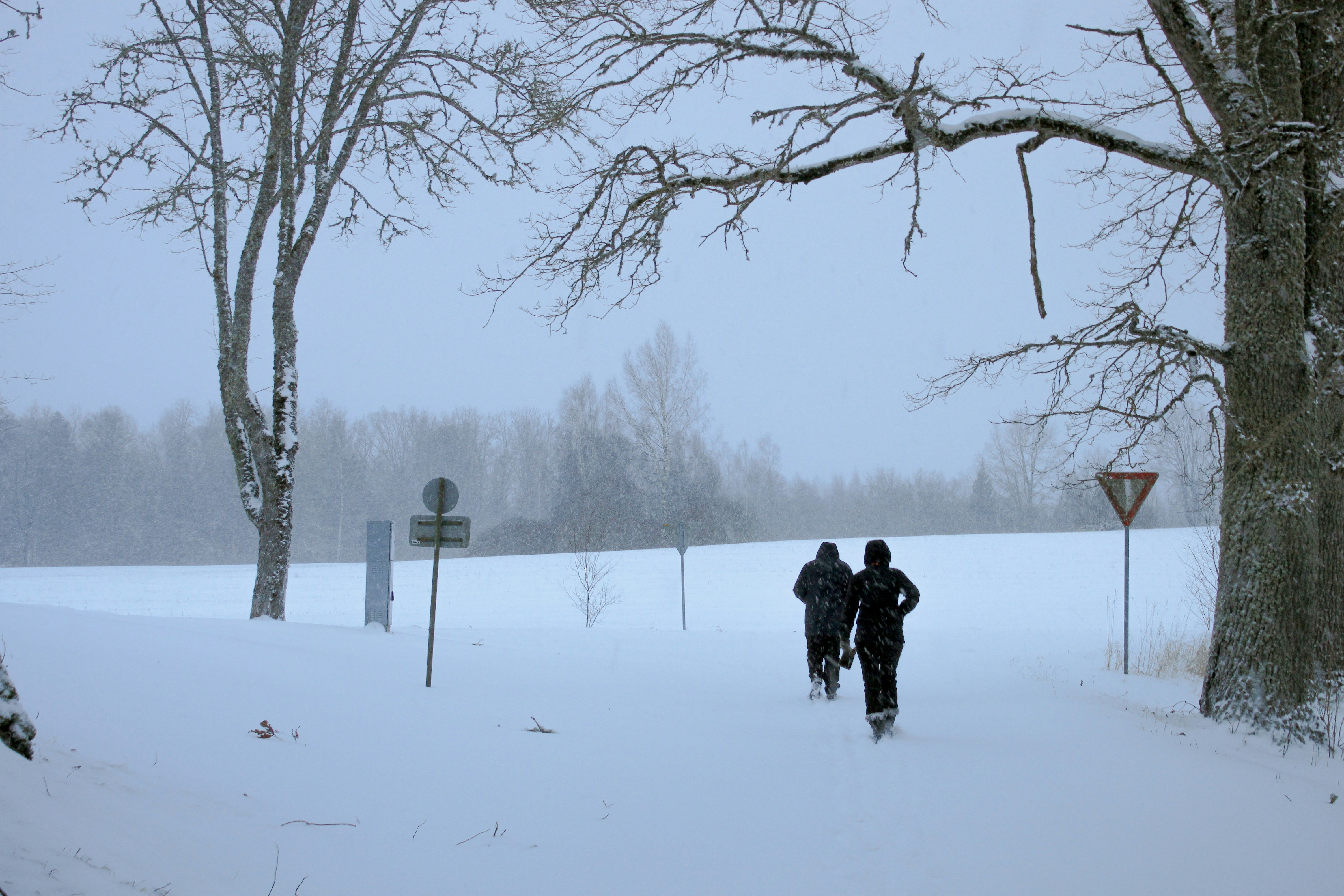 Snowbound Walk: Two Figures Trek Across a Quiet Winter Field