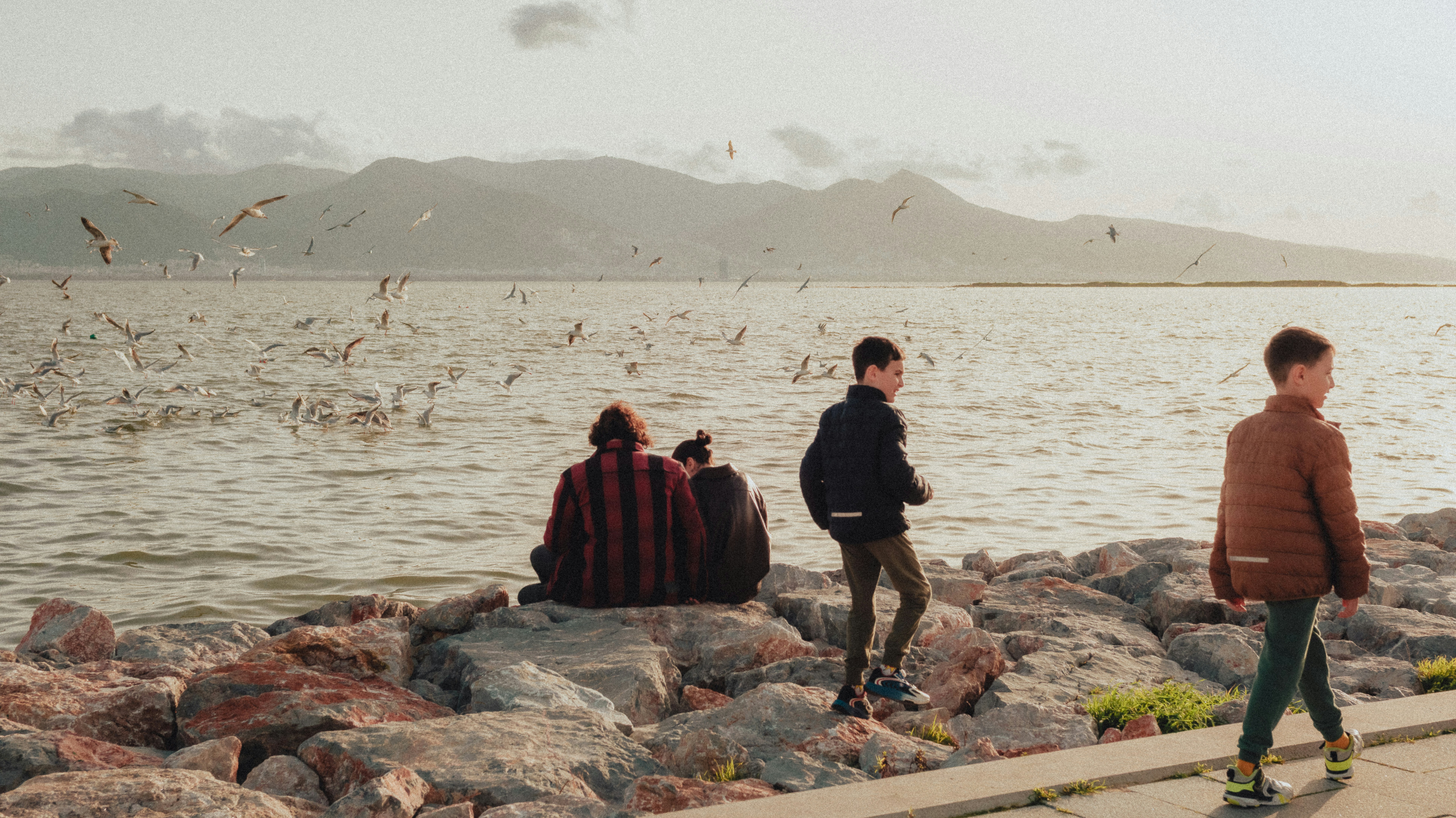 Lakeside Stroll: Children and Seabirds at Dusk