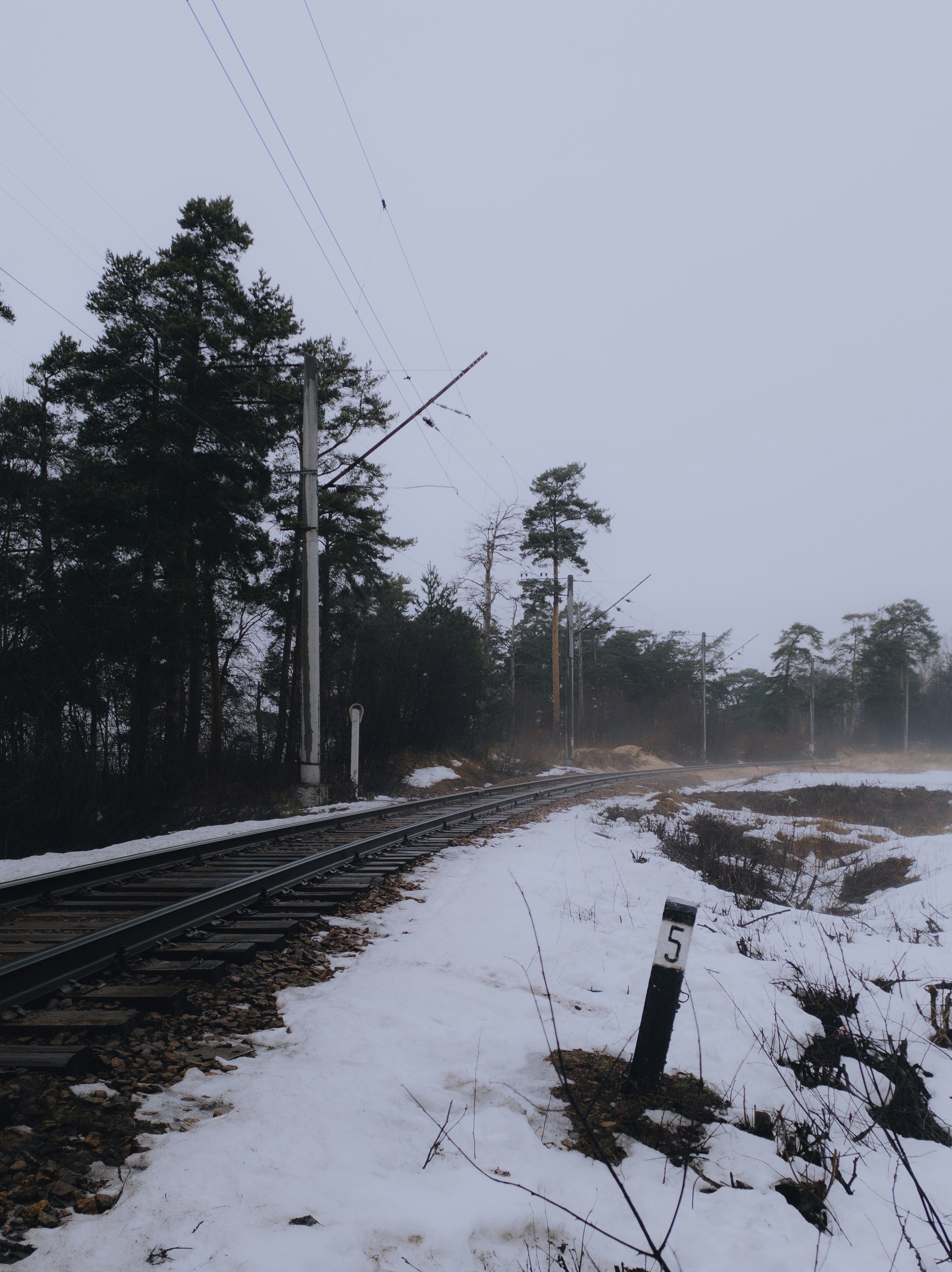 Winter Railsong: Snow, Steam, and Silent Pines