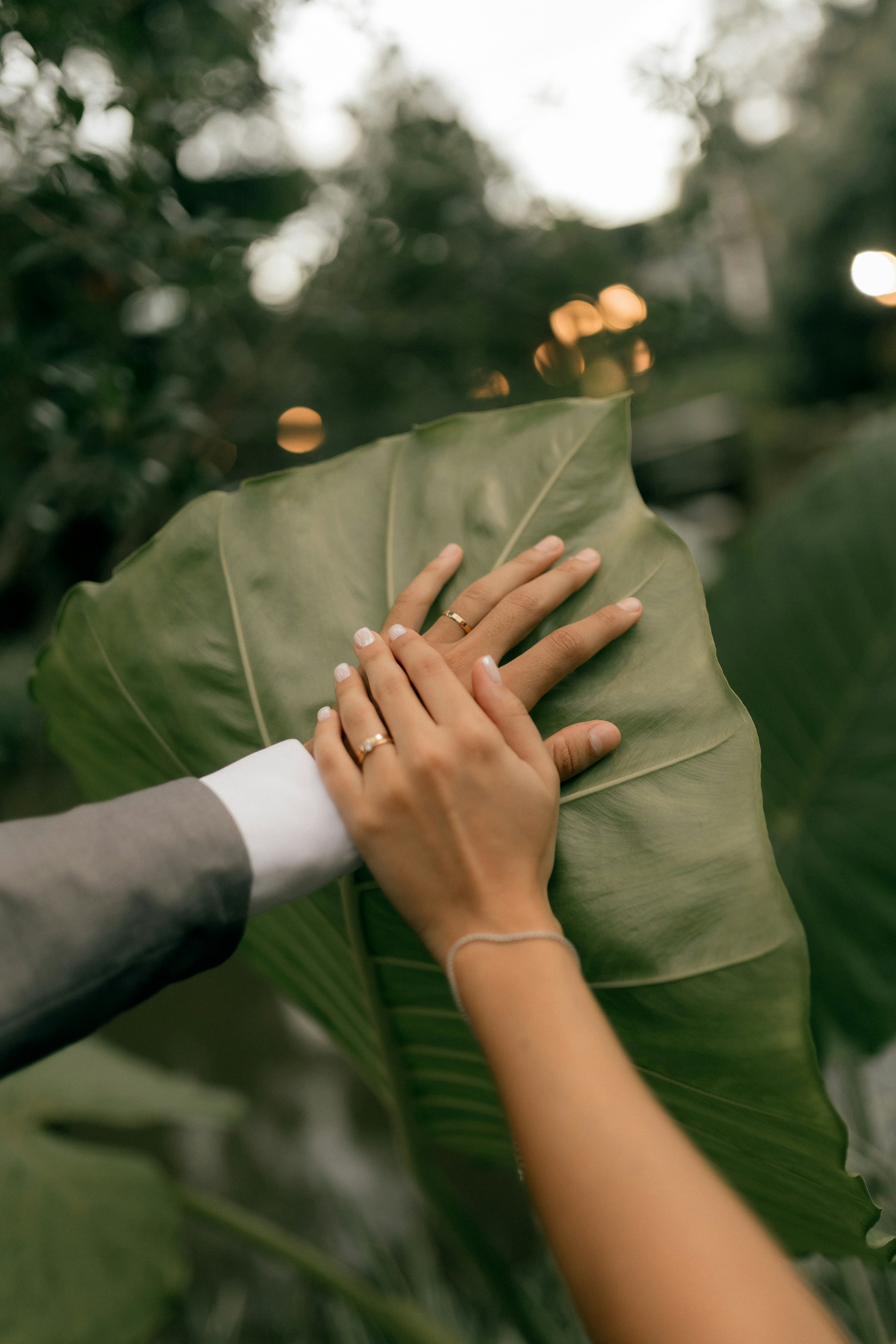 Hands Across a Leaf: A Quiet Union of Rings and Nature