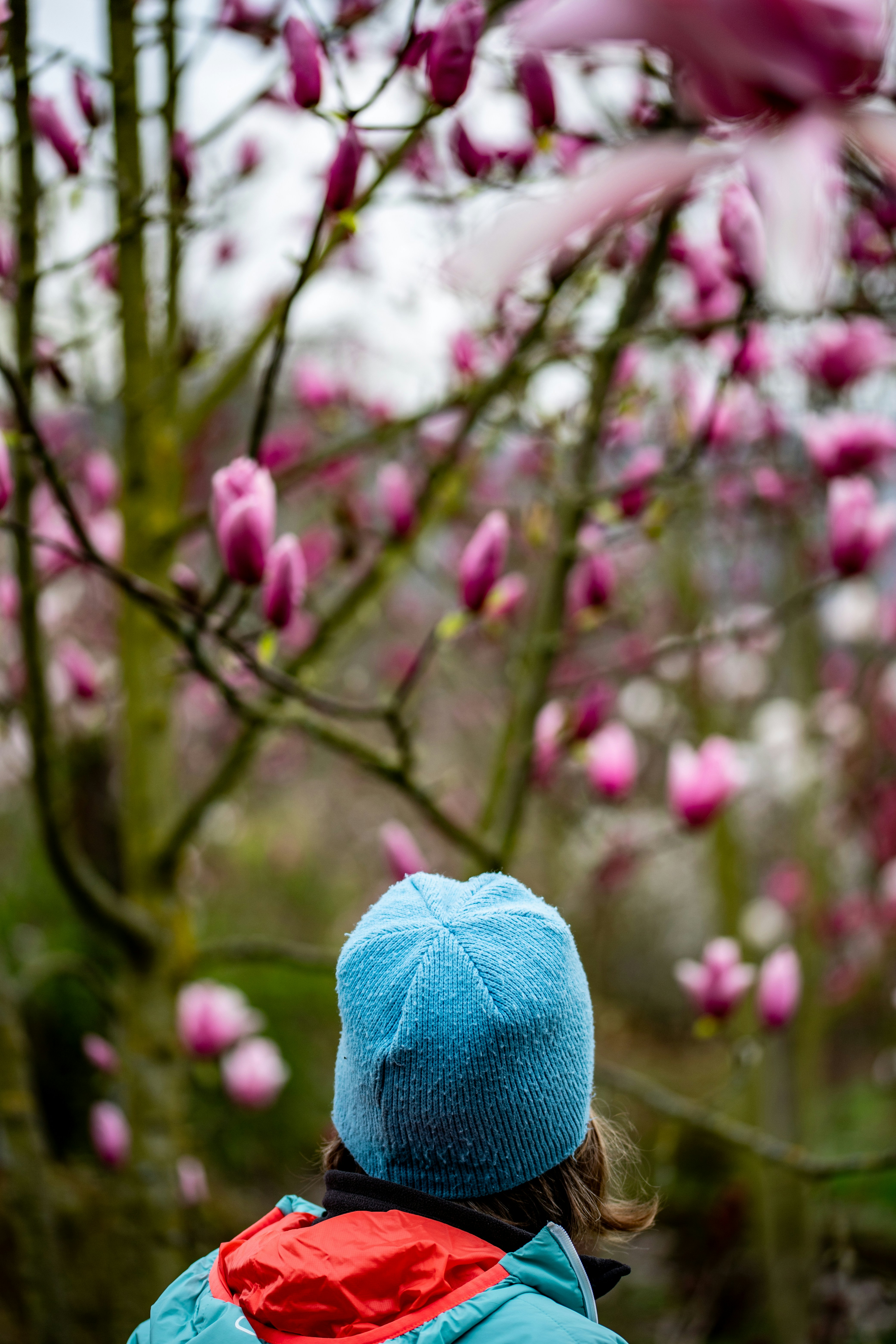 Blue Knit Cap in Blooming Orchard