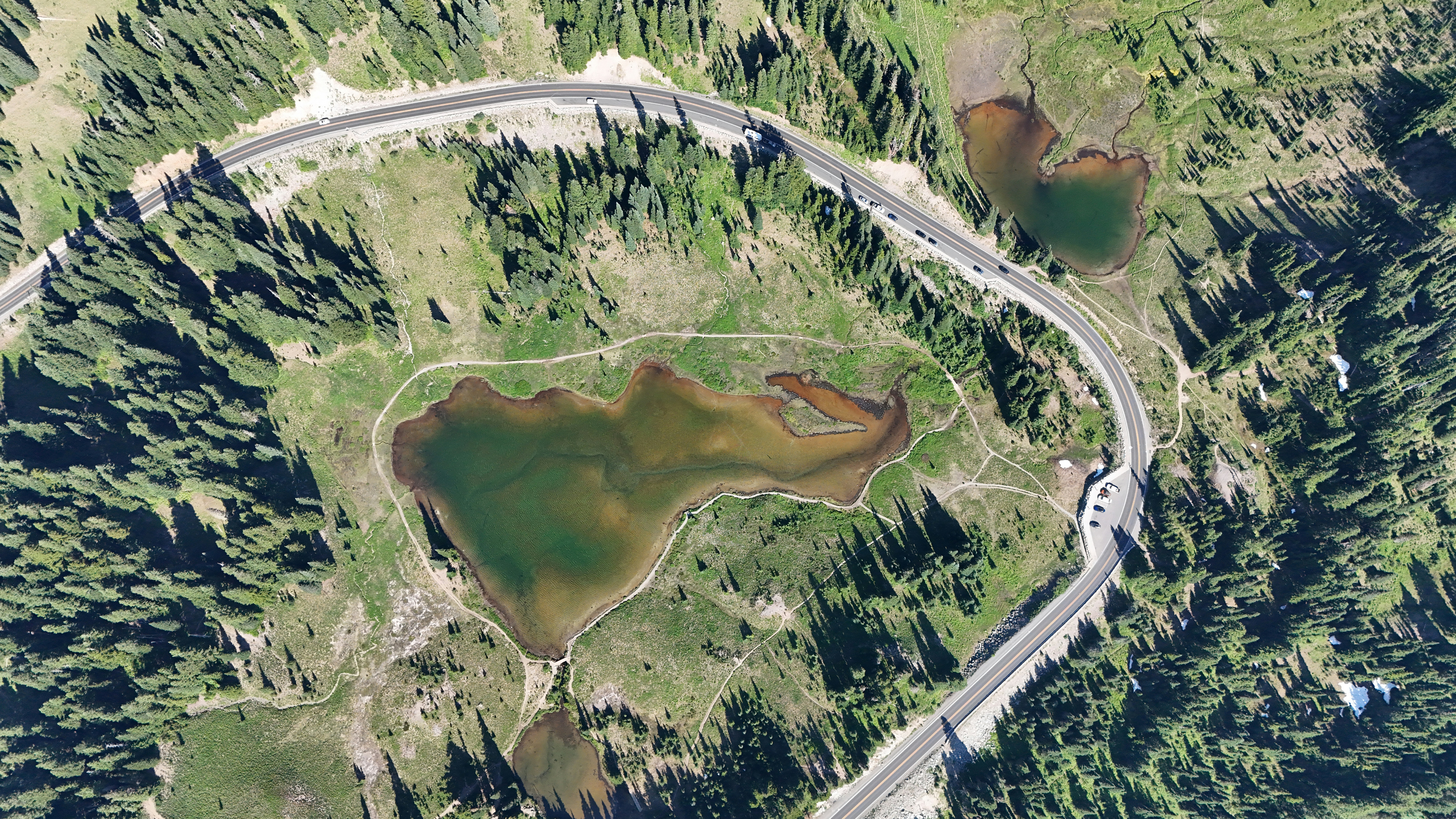 Curved Road Framing a Serene Pond in a Pine Forest