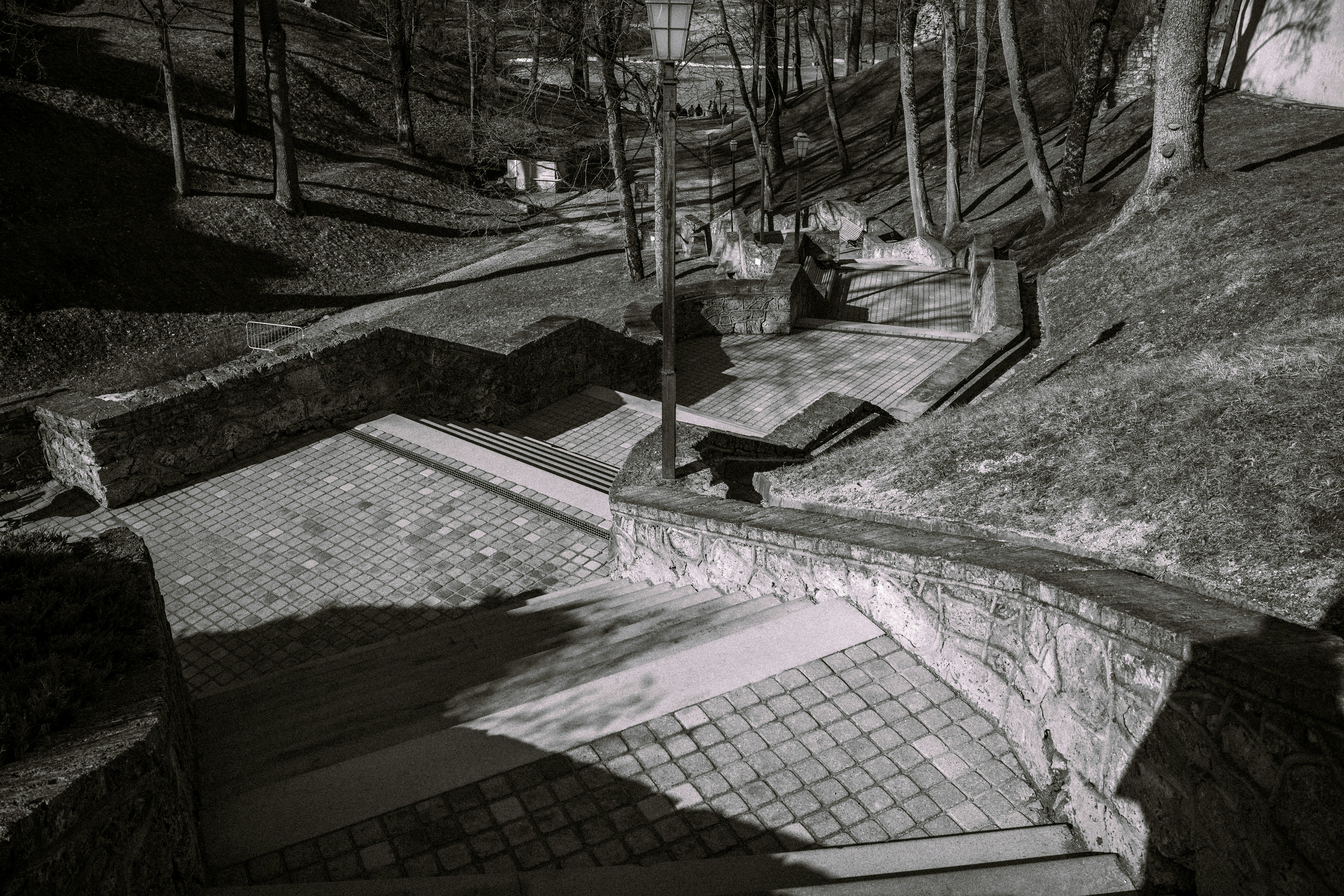 Night Steps in the Whispering Park
