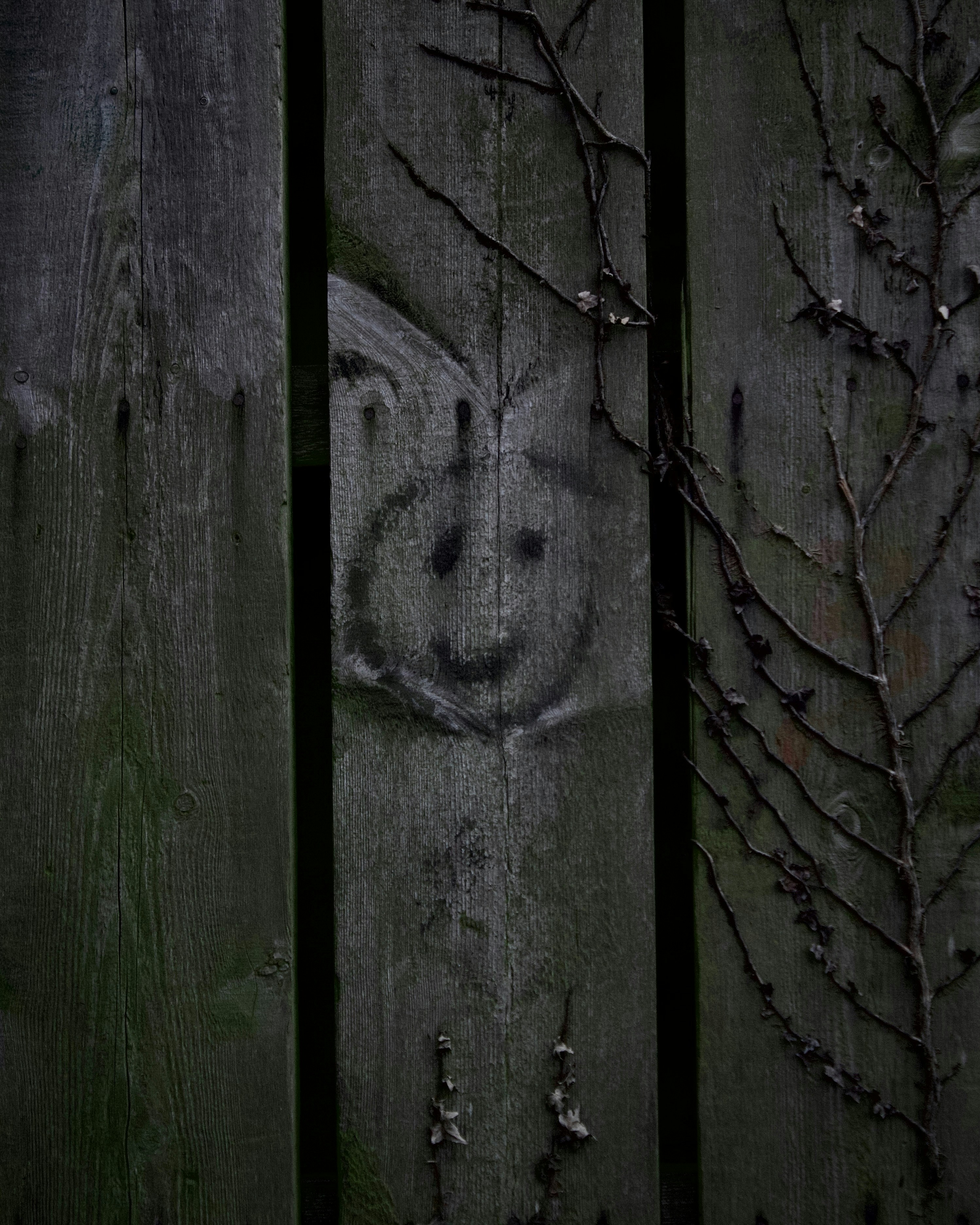 Whimsical Graffiti Grail: A Subtle Smile on Weathered Wood