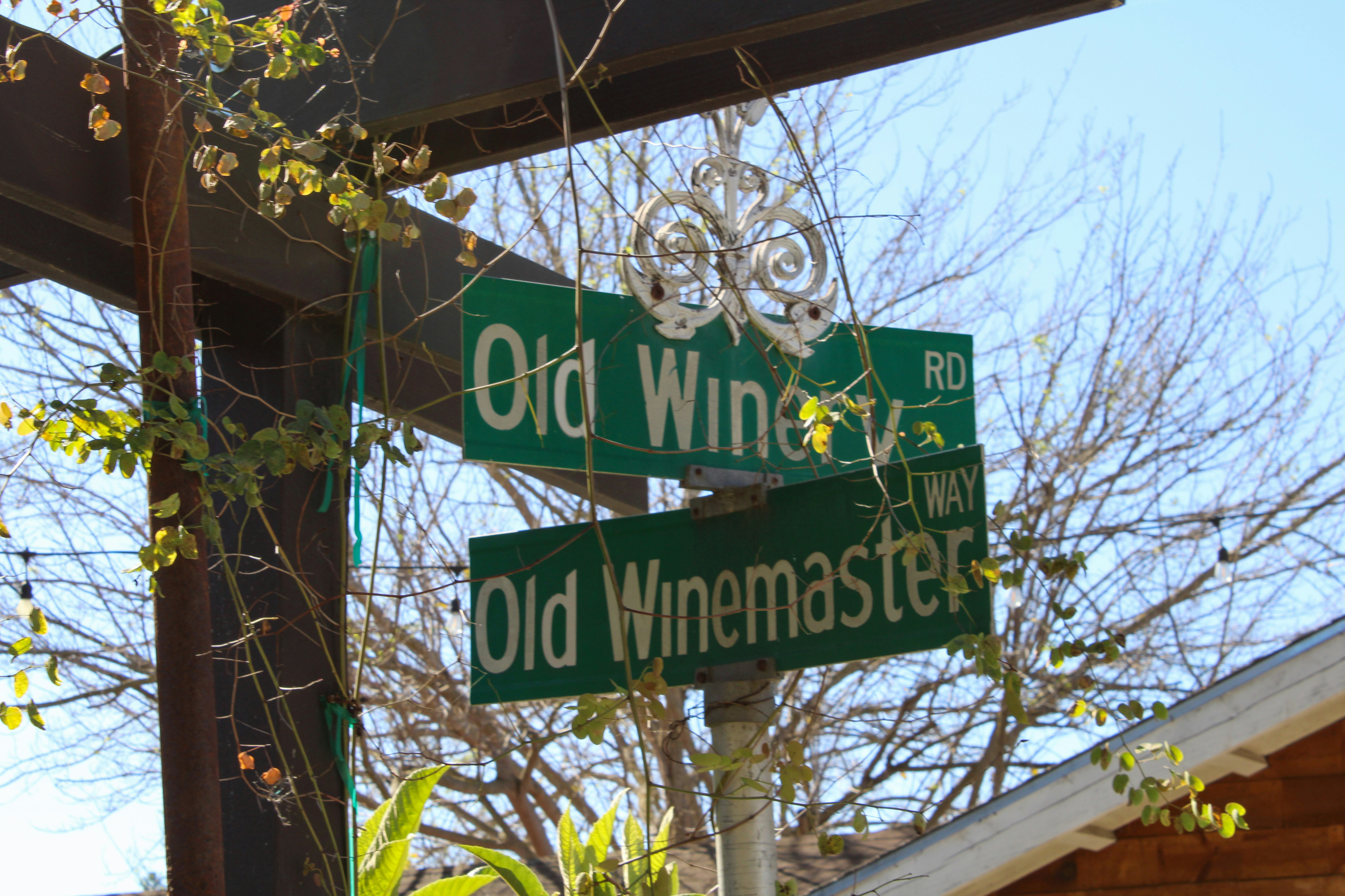 Two overlapping green street signs reading 'Old Winemaker' at a sunlit corner with branches and a decorative lamp above.