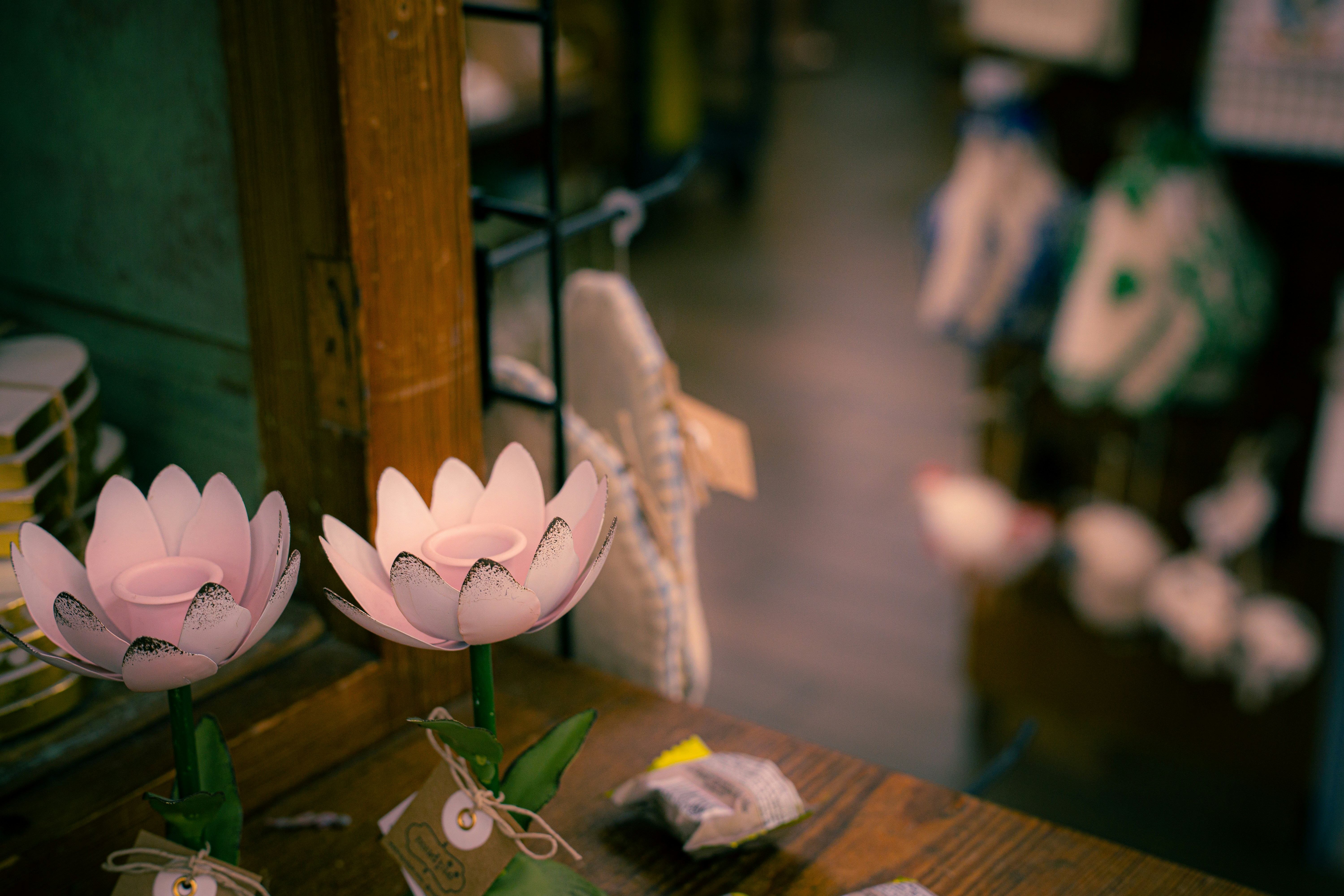 Soft Morning Glow in a Petite Shop Window