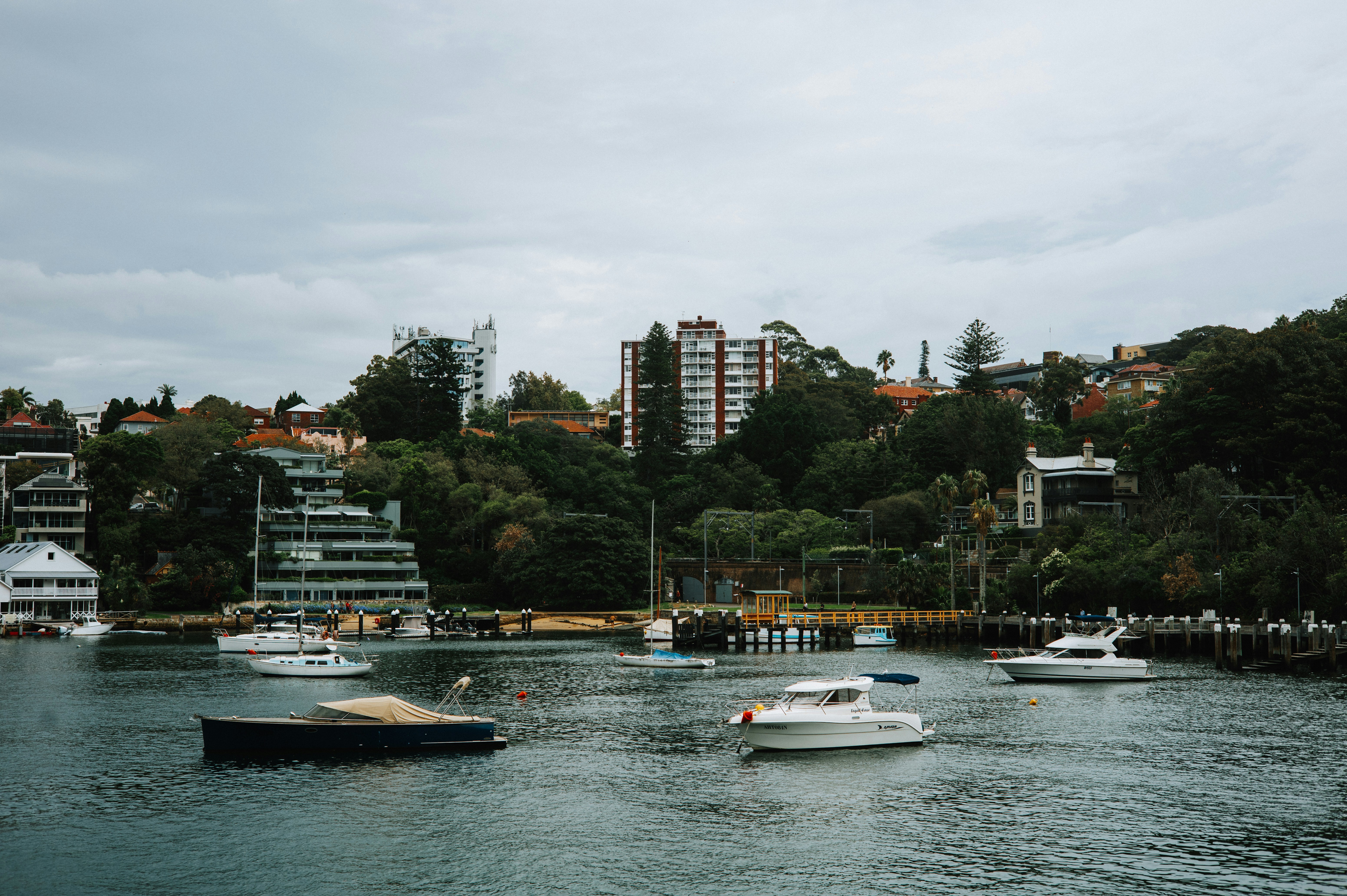 Harbor Vista: Boats at Rest Along a Shaded Waterfront Ridge