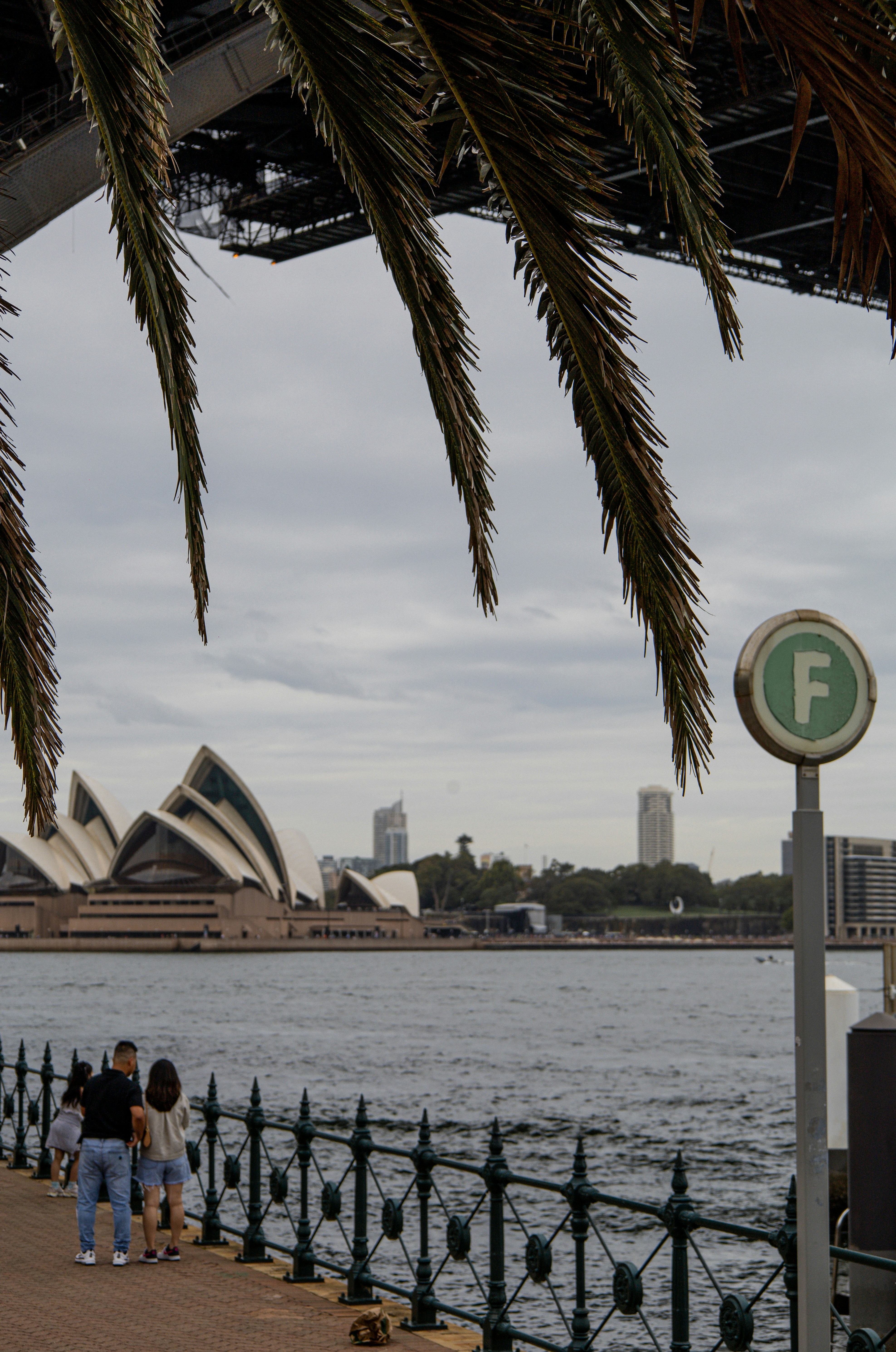 Gazing Toward the Opera House from the Waterfront Walk