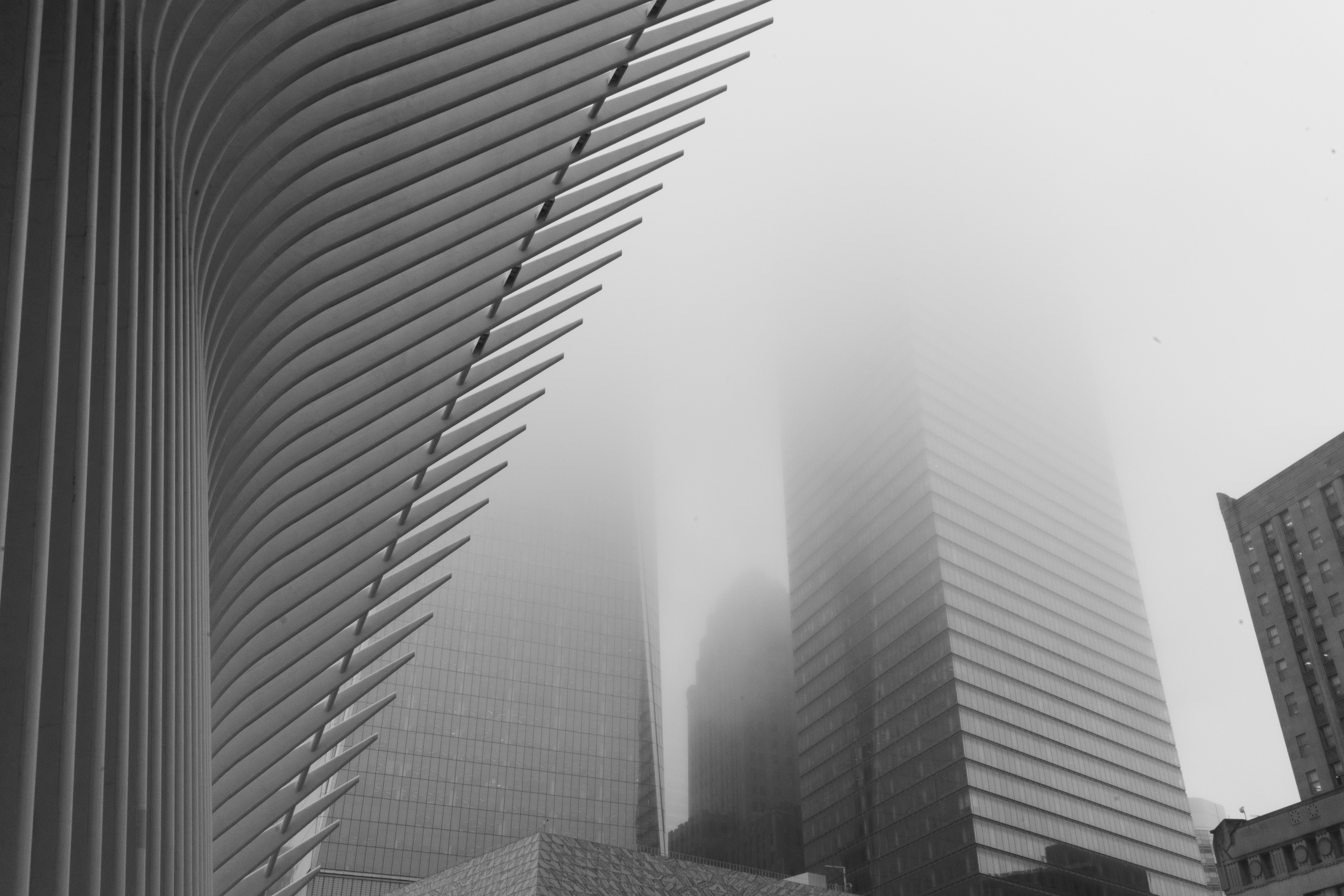 Towered Shadows in Fog: A Mono Skyline Emerges