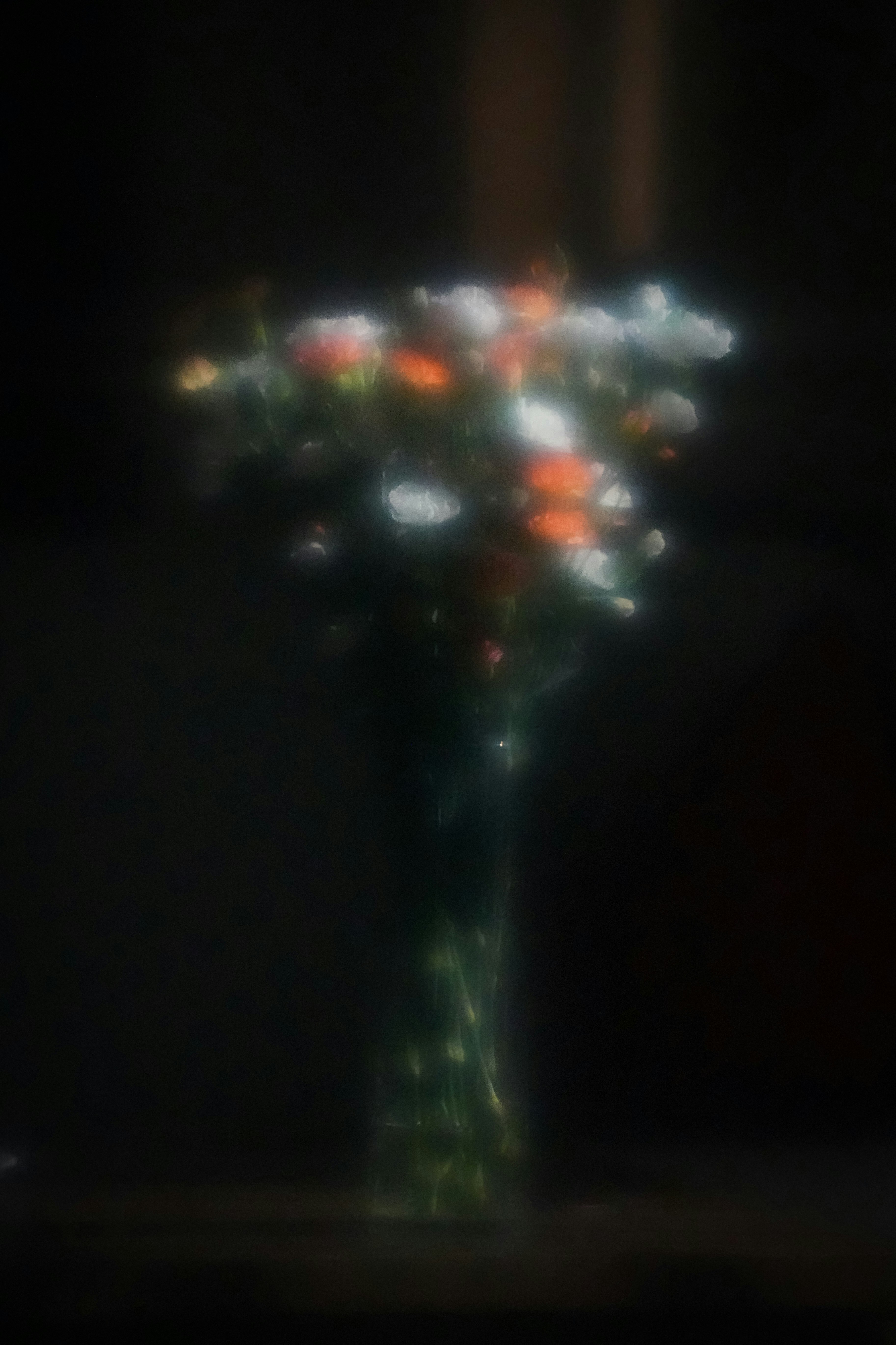Soft Bloom: a Gift of Flowers in Low Light