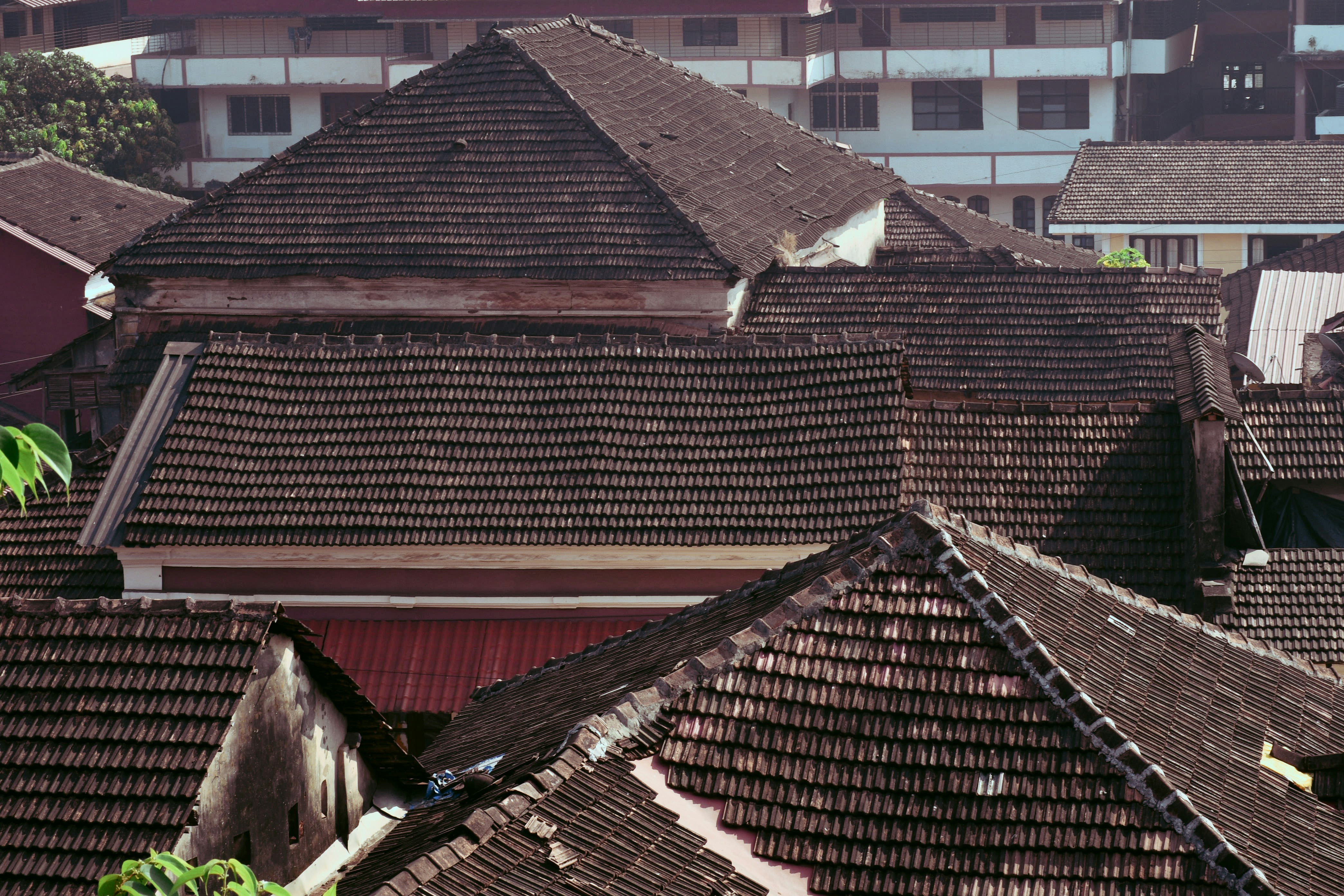 Tiled Roofscape Under Soft Afternoon Light