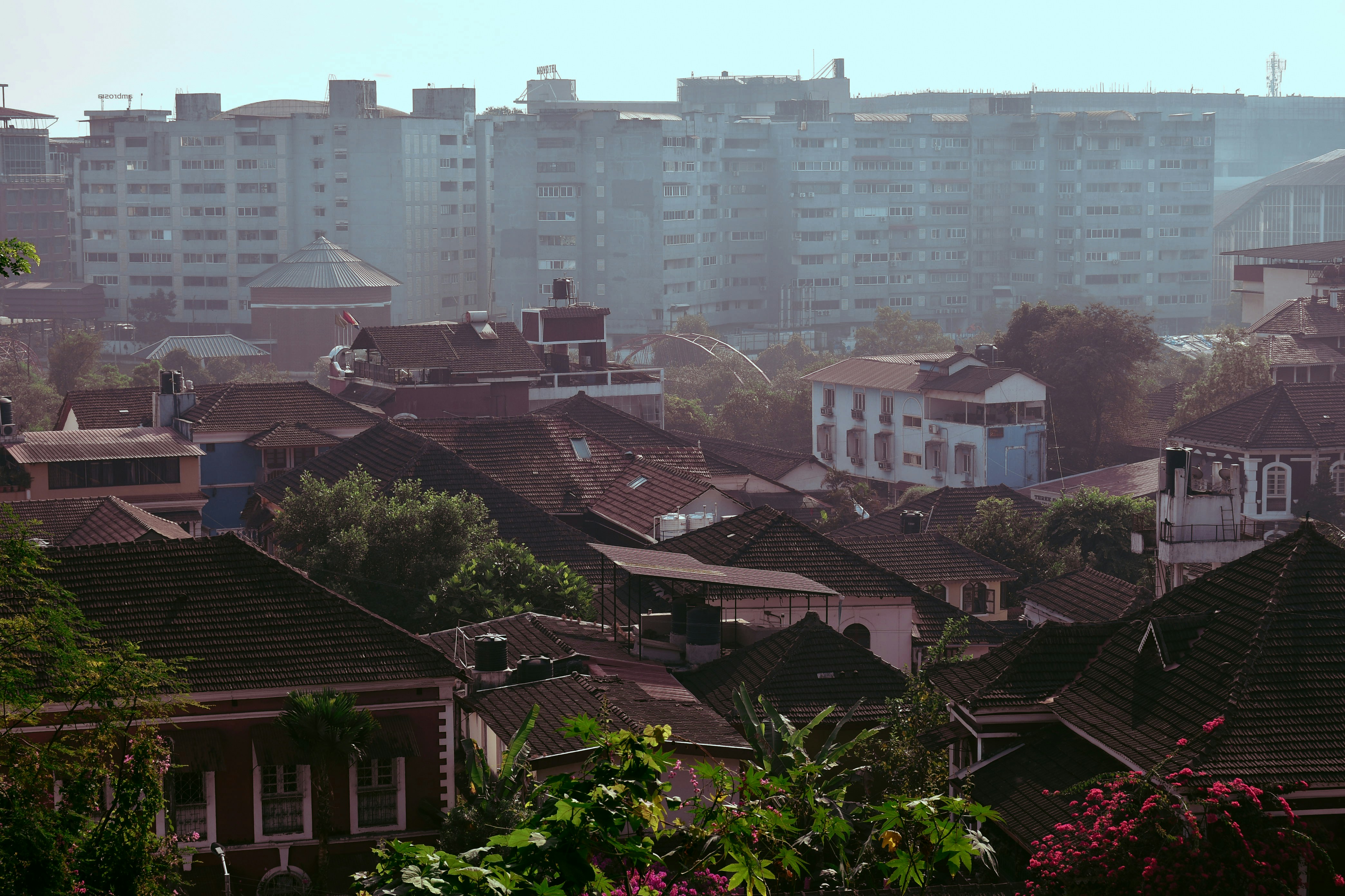 Urban Horizon: Rooftops and Distant Towers