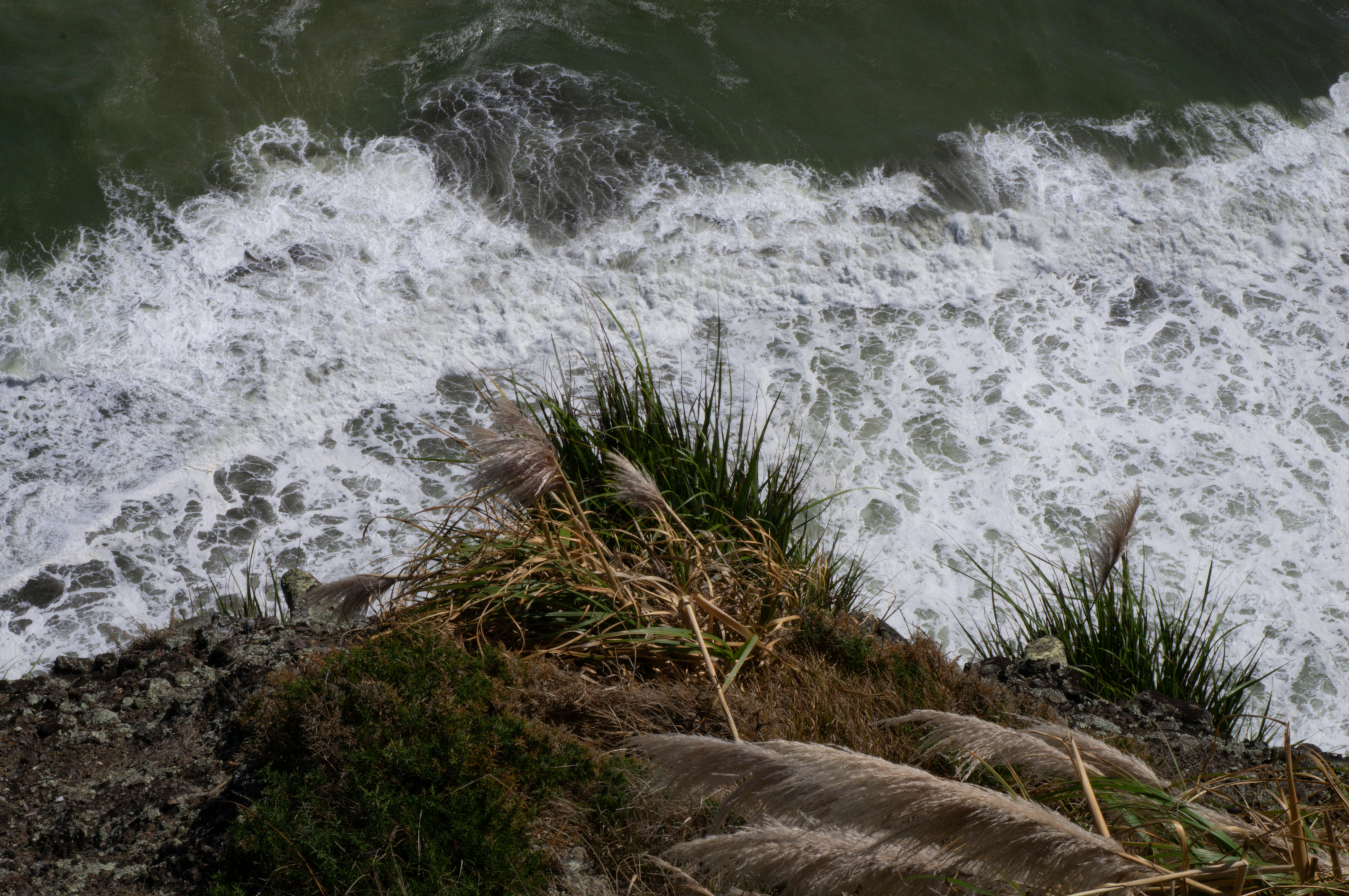 Edge of the World: Coastal Cliff Overlook