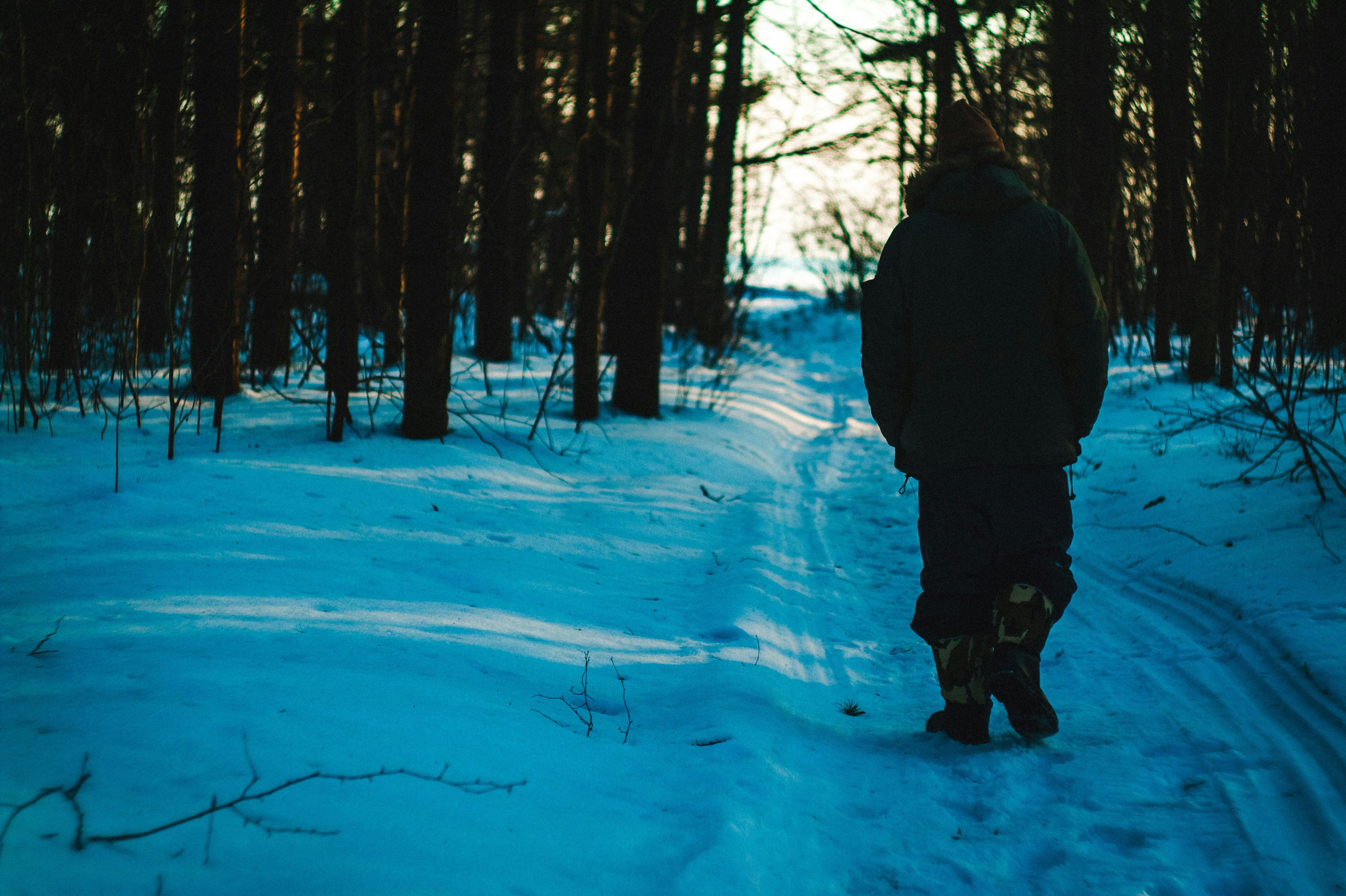 Foxed Path: A Lone Wanderer Through Snowy Pines