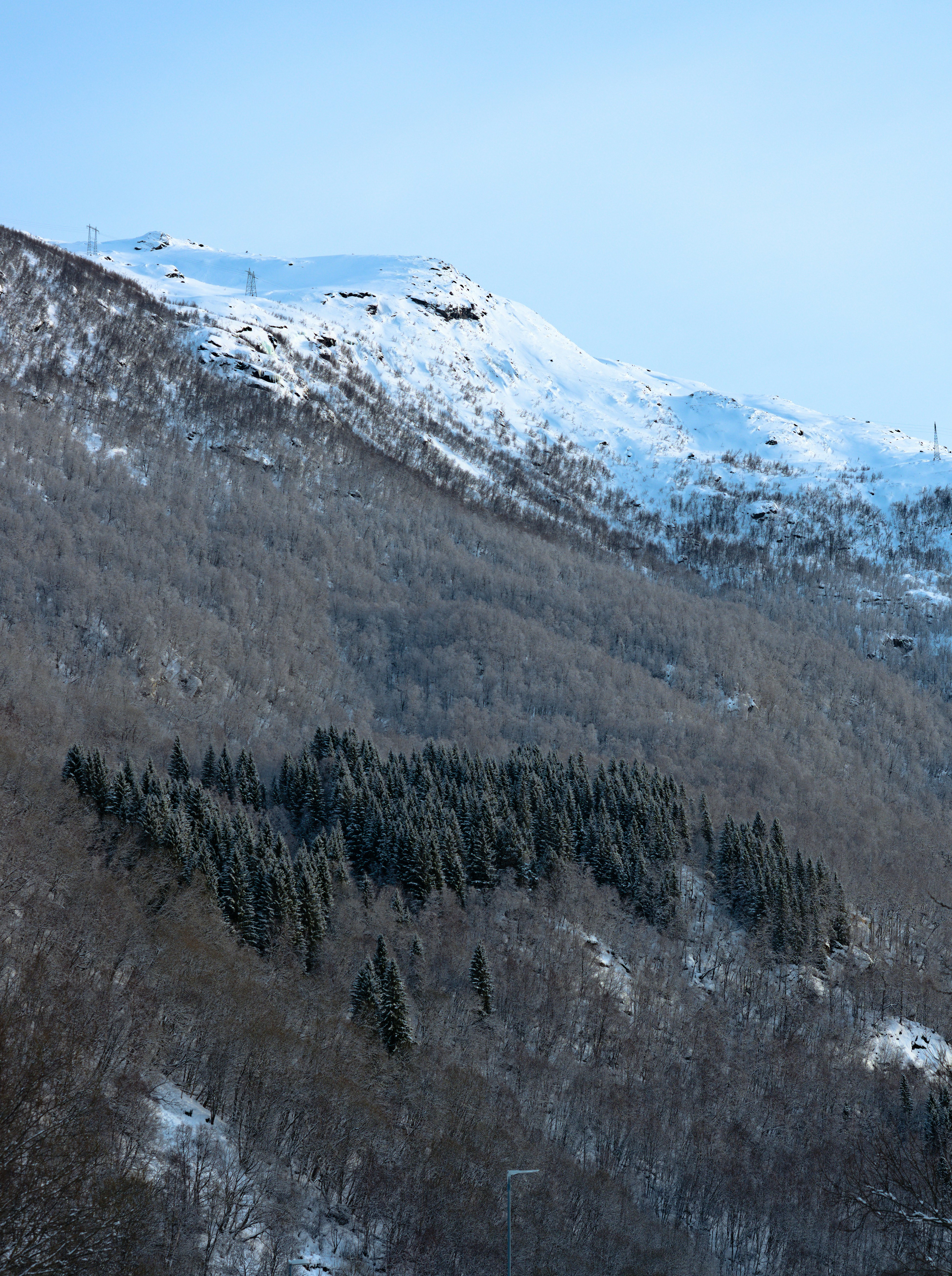 Snow-blanketed Ridge Under a Clear Winter Sky