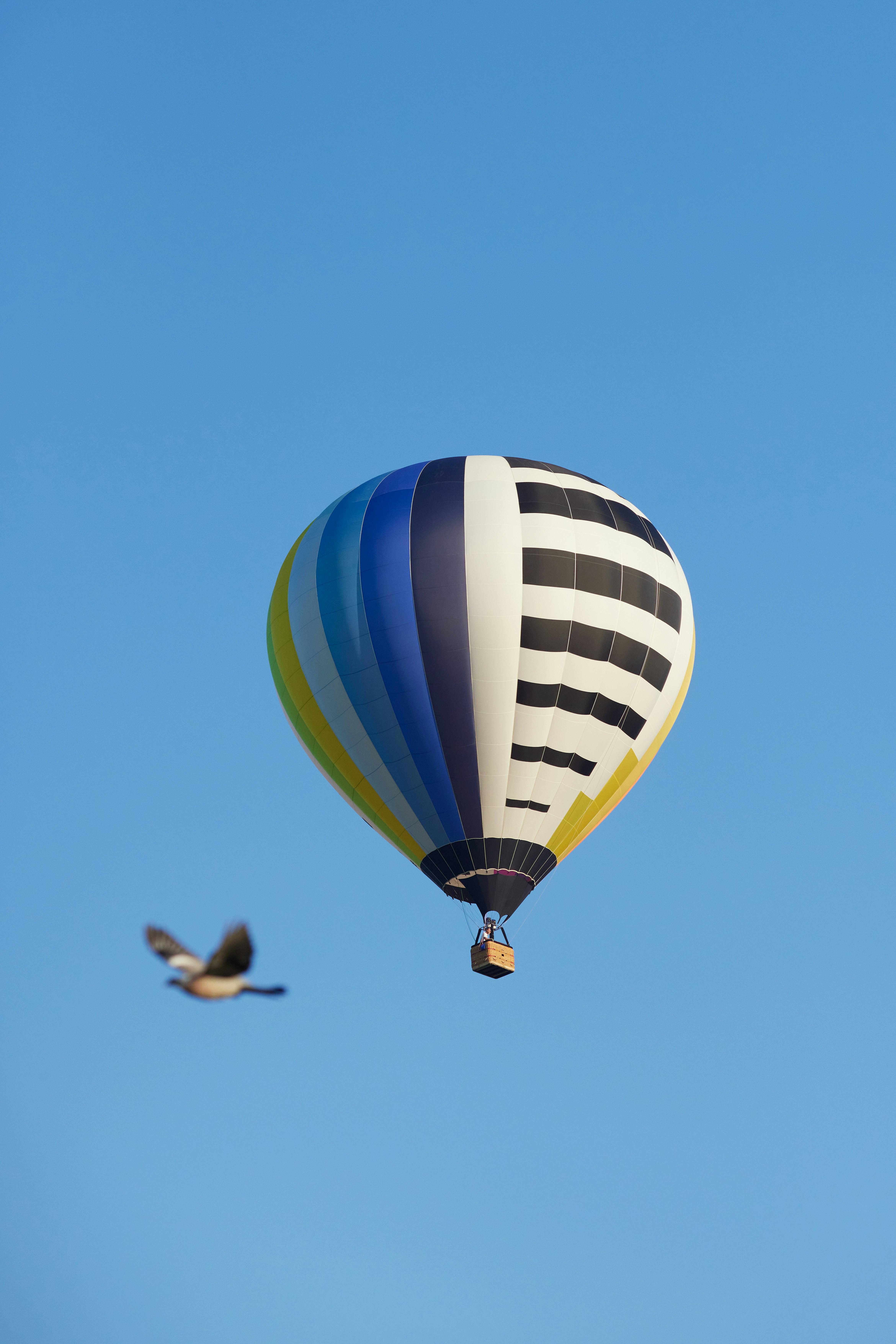 Blue Sky Balloon: A Solo Ascent Against an Open Blue Canvas