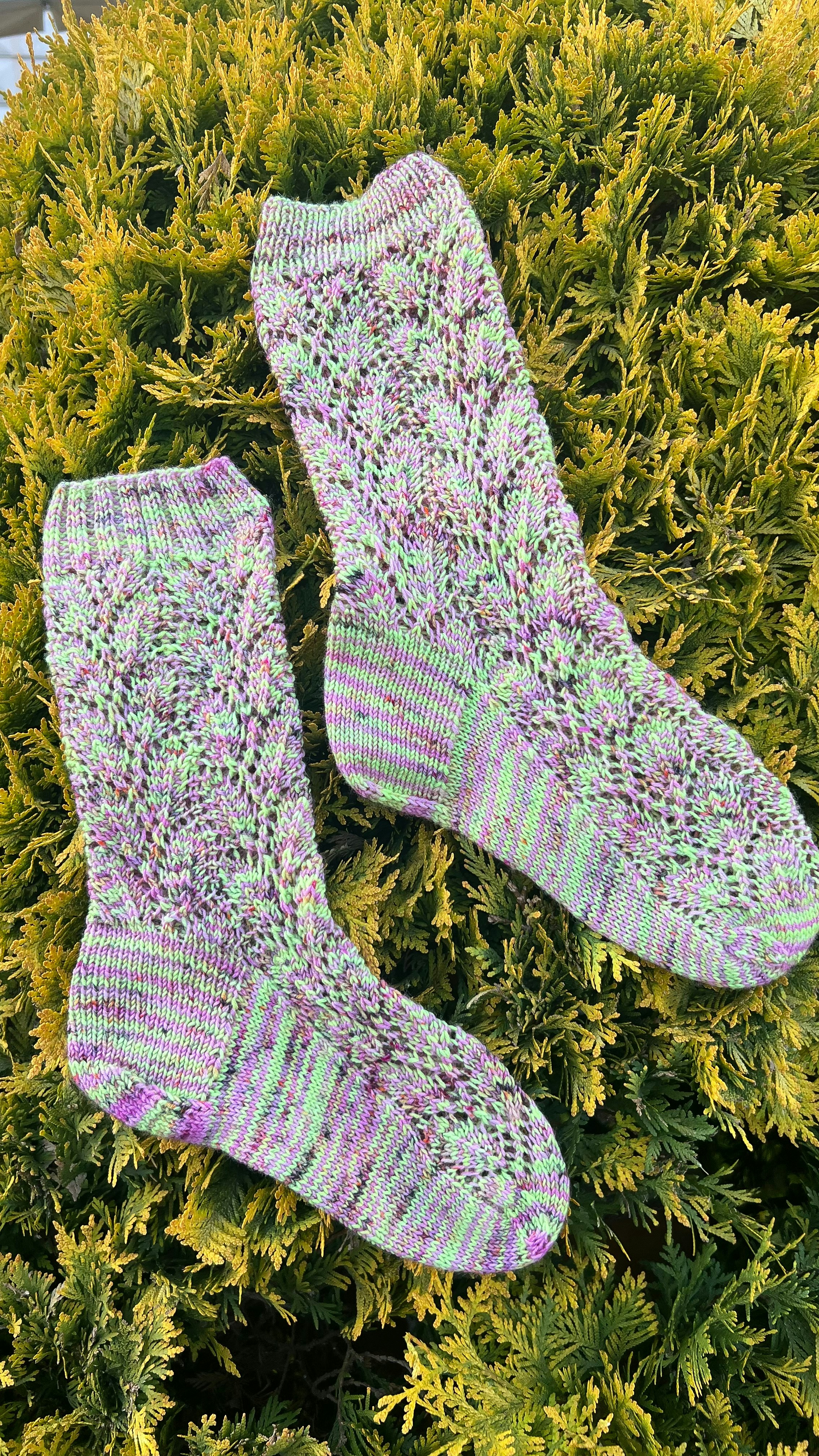 Pastel Knit Dreams Resting on Evergreen Gold