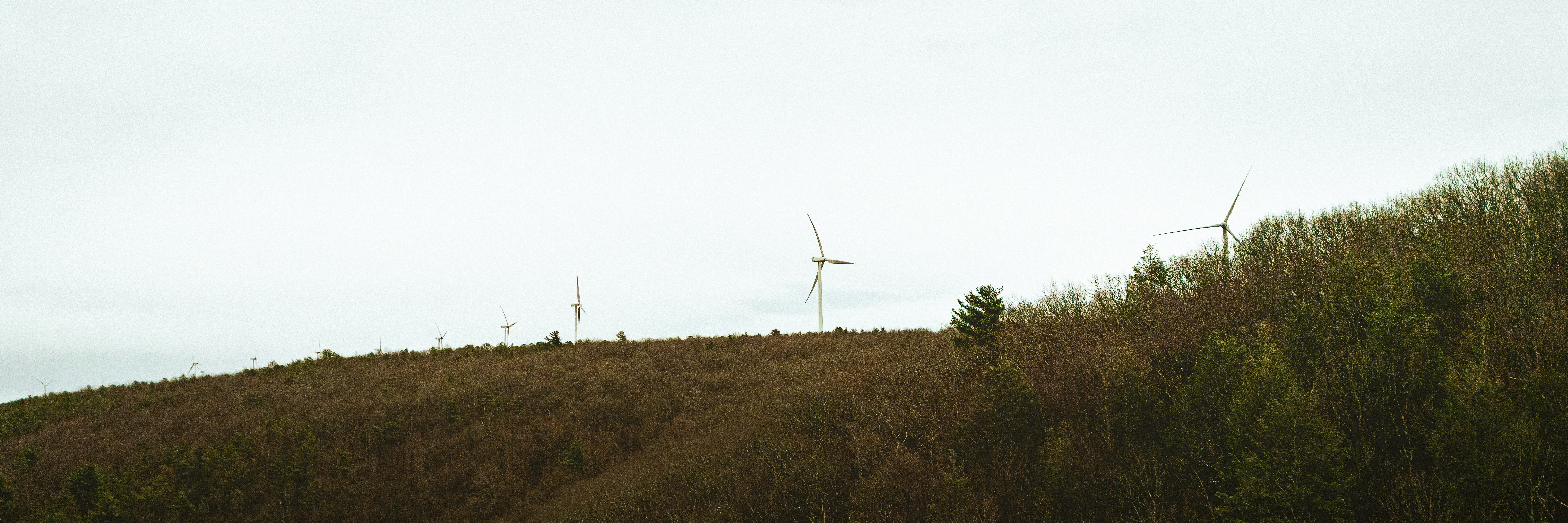 Whispers on the Hill: Wind Turbines at Distant Crest