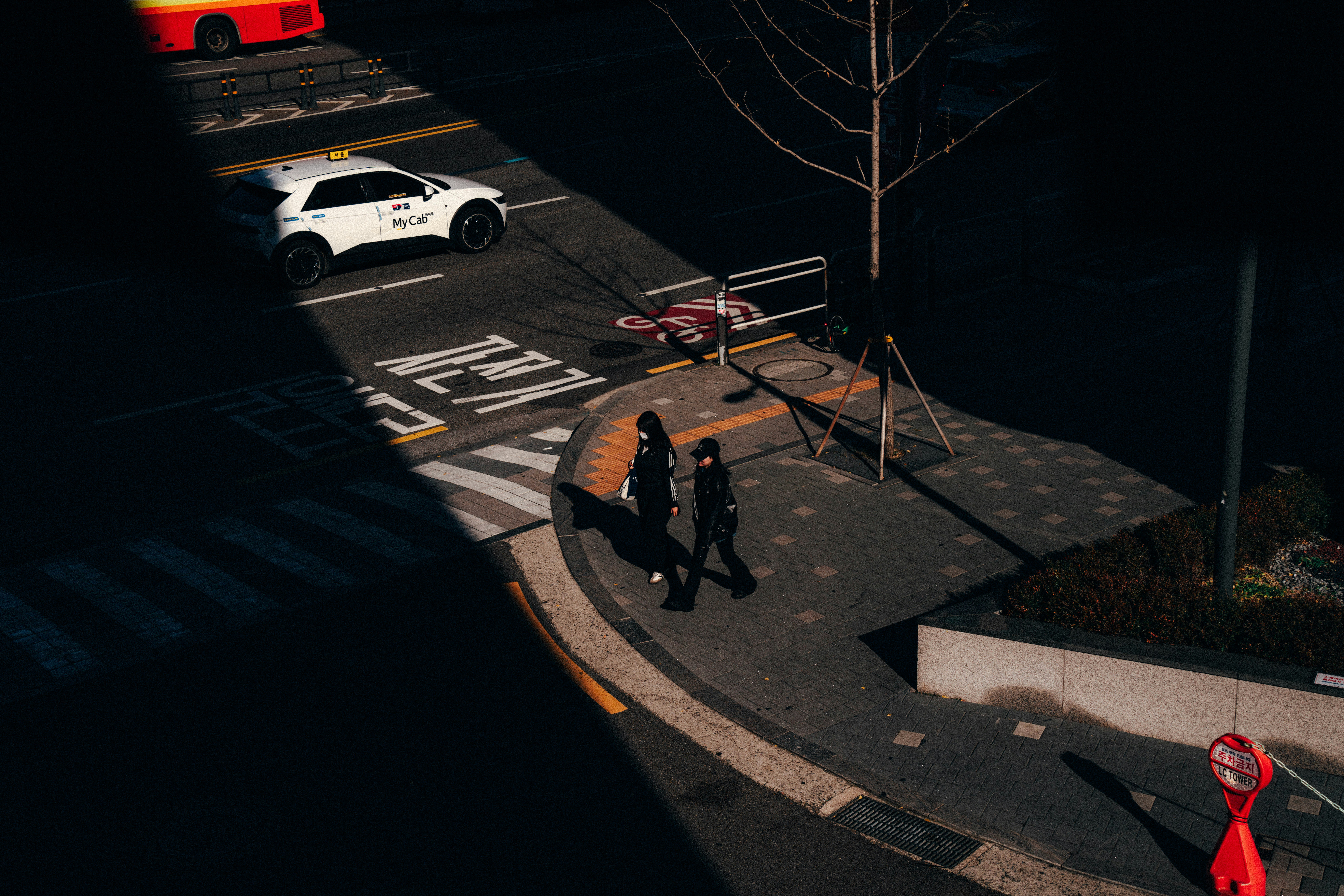 Midnight Crossing: The Quiet Moment Beneath a Shadowed Corner