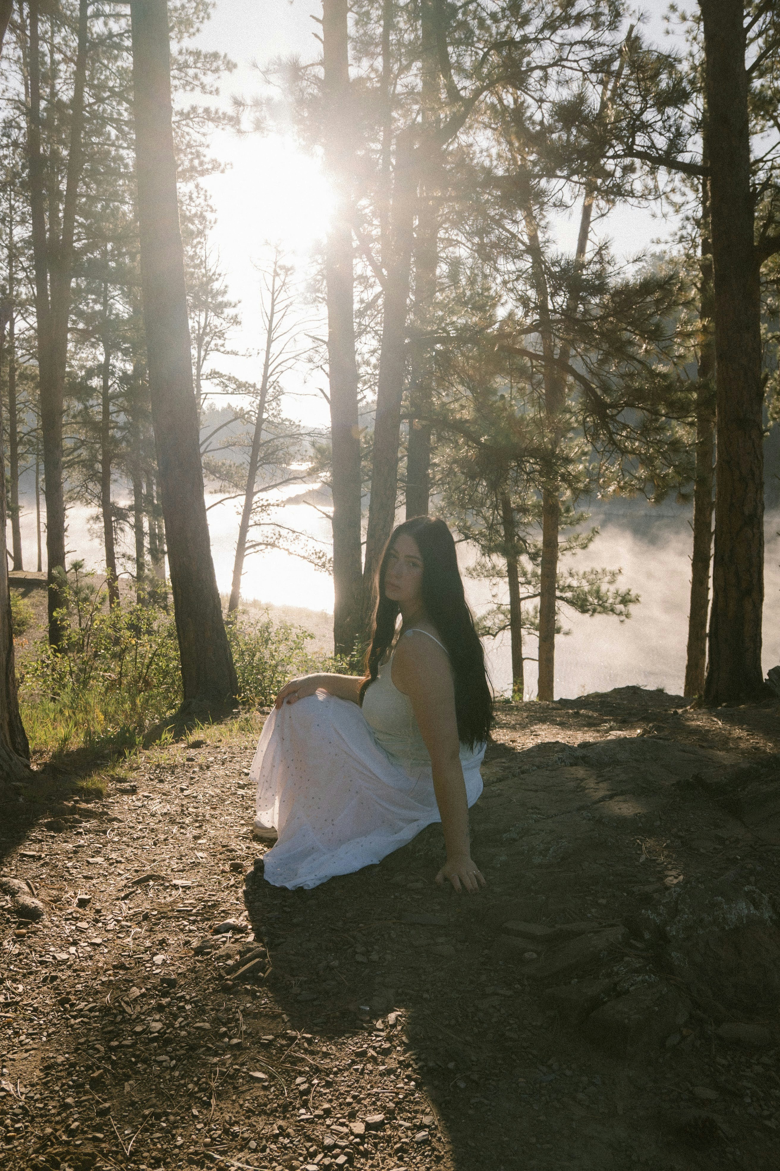 Sunlit Silence: a Seated Portrait in the Pines