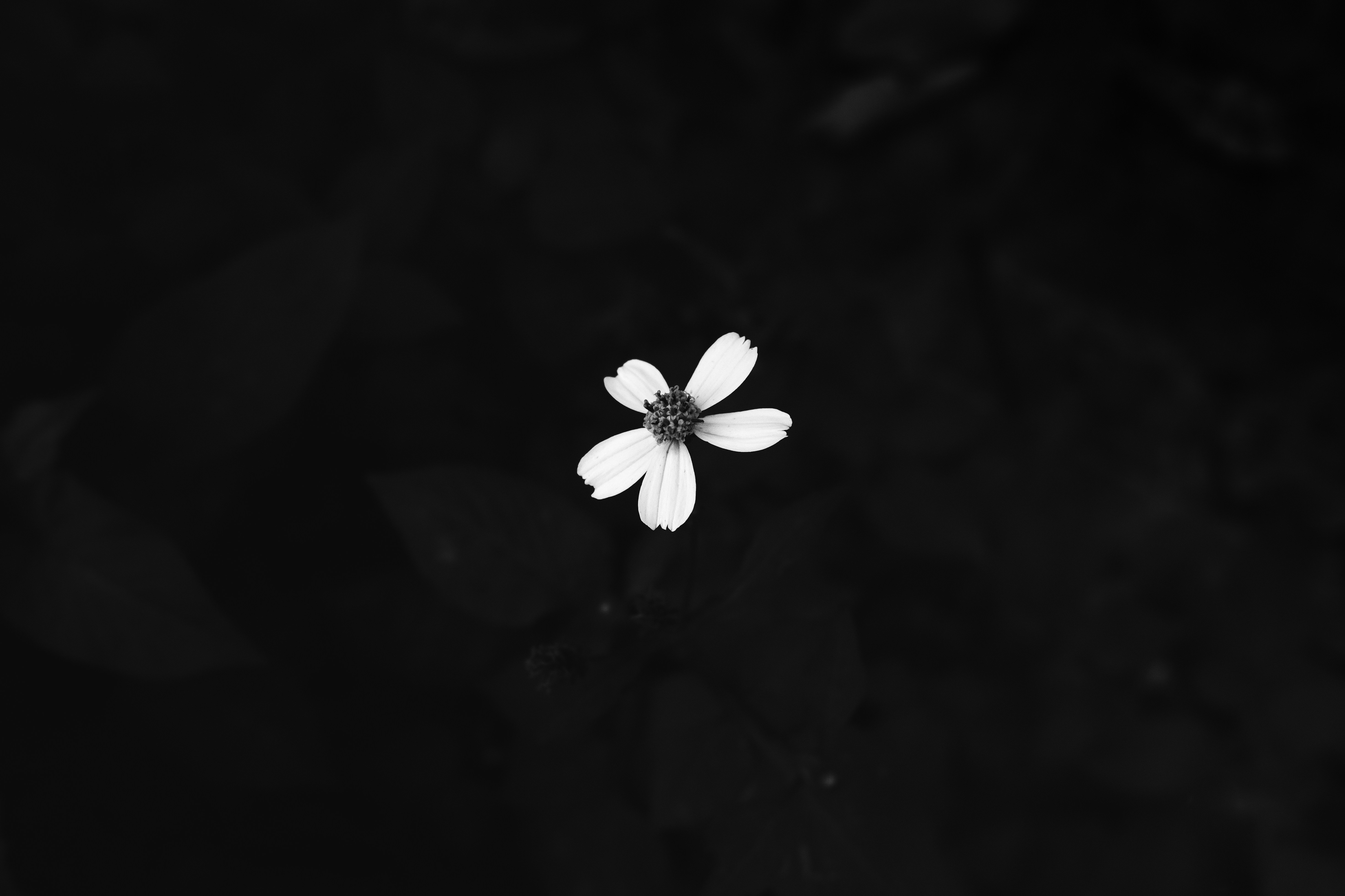 Simple Dark Wallpaper Pictures | Download Free Images on Unsplash