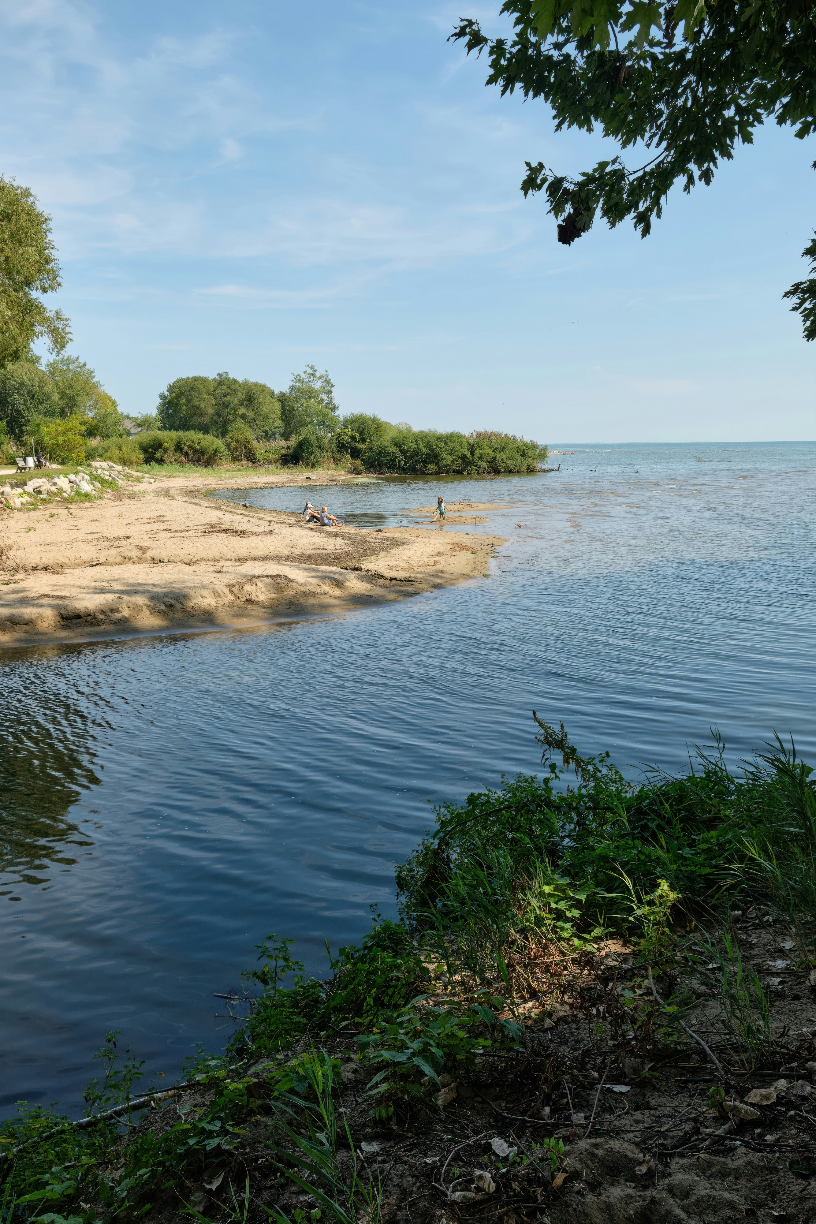 Quiet riverside with sandy inlet and distant swimmers