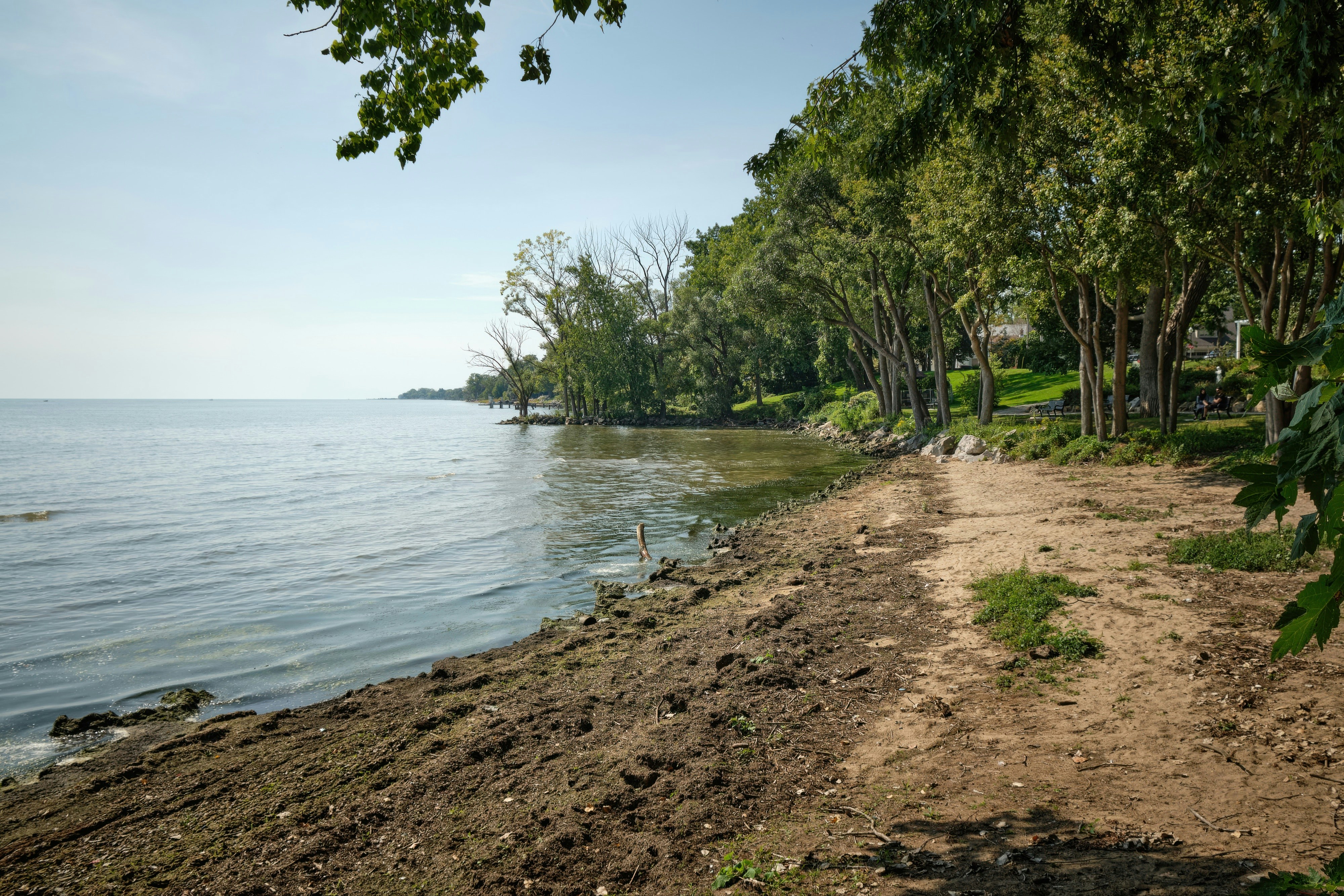 Sunlit shoreline at a tranquil lakeside bend