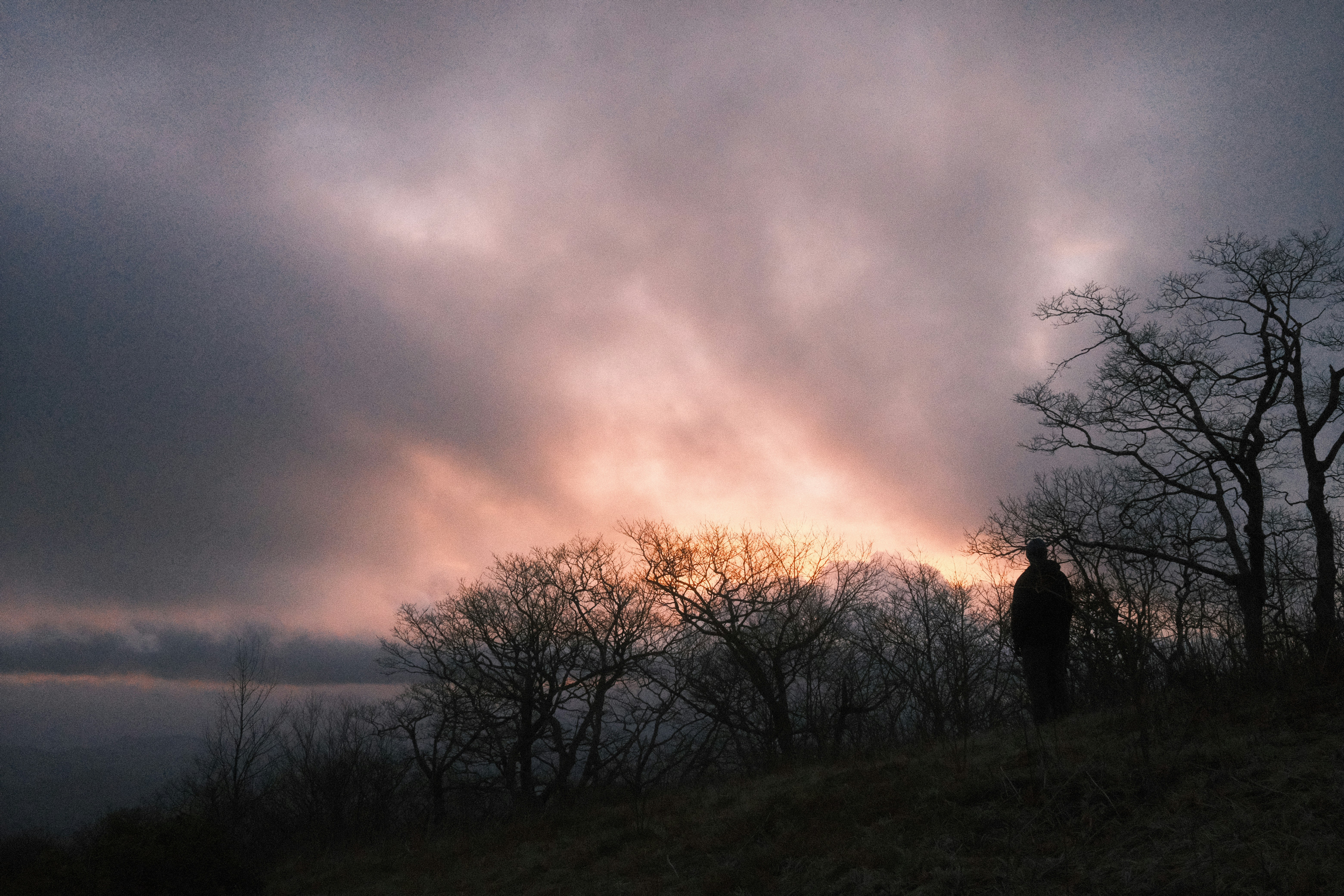 Dusk Silhouette atop the Hill