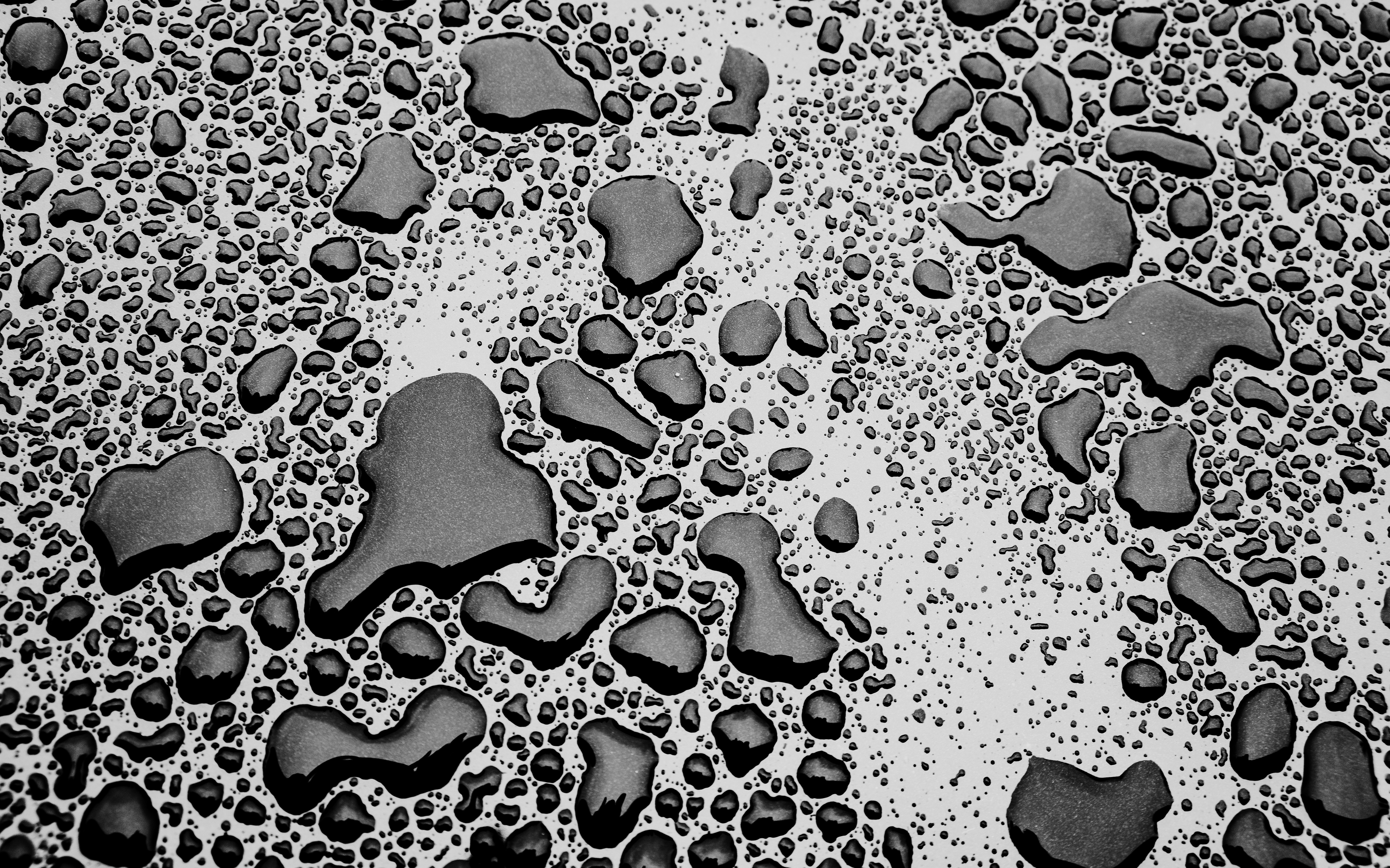 Pebble Mosaic Under a Monochrome Microscape