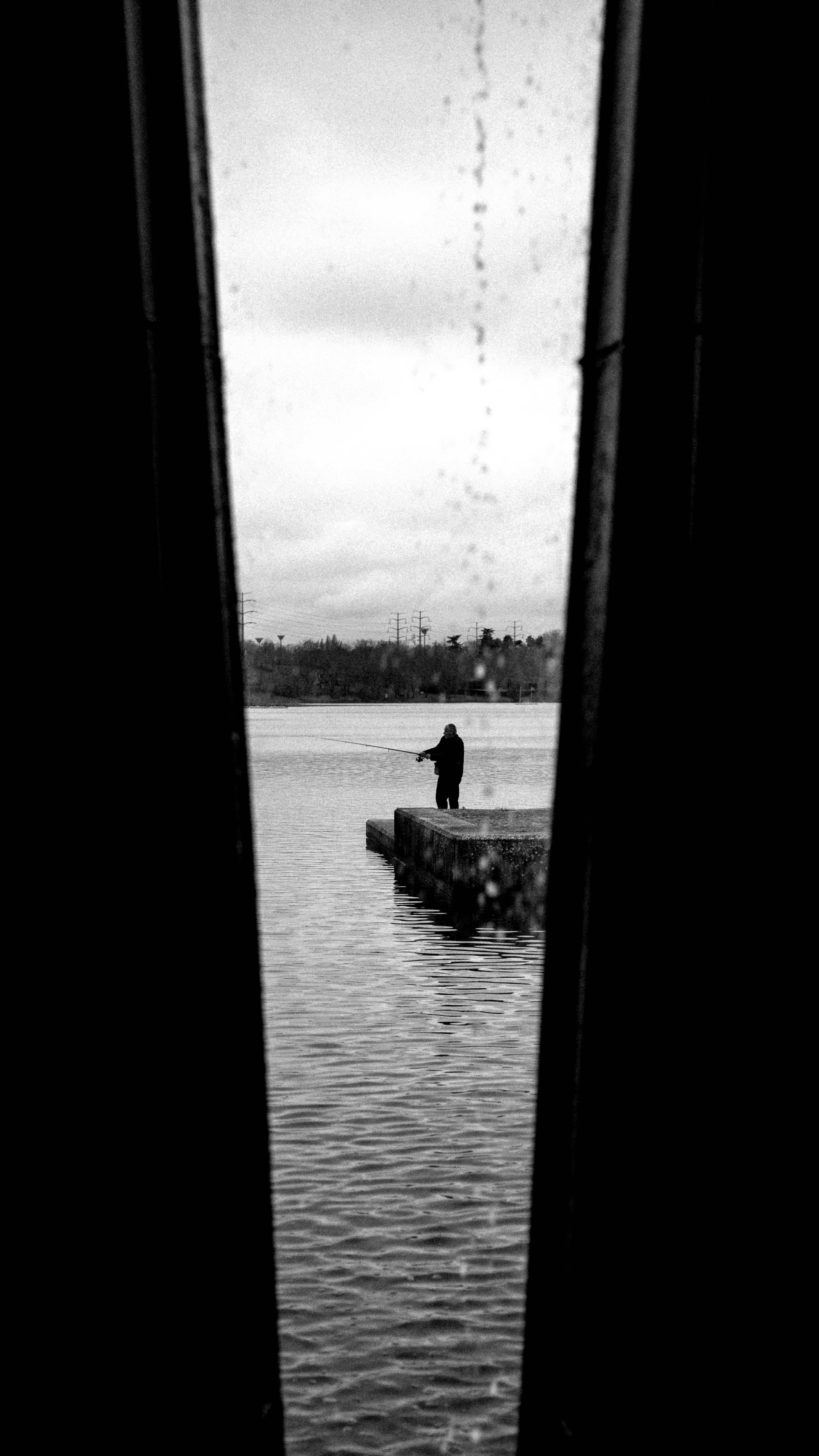 Isolated Fisher on a Narrow Window to the World