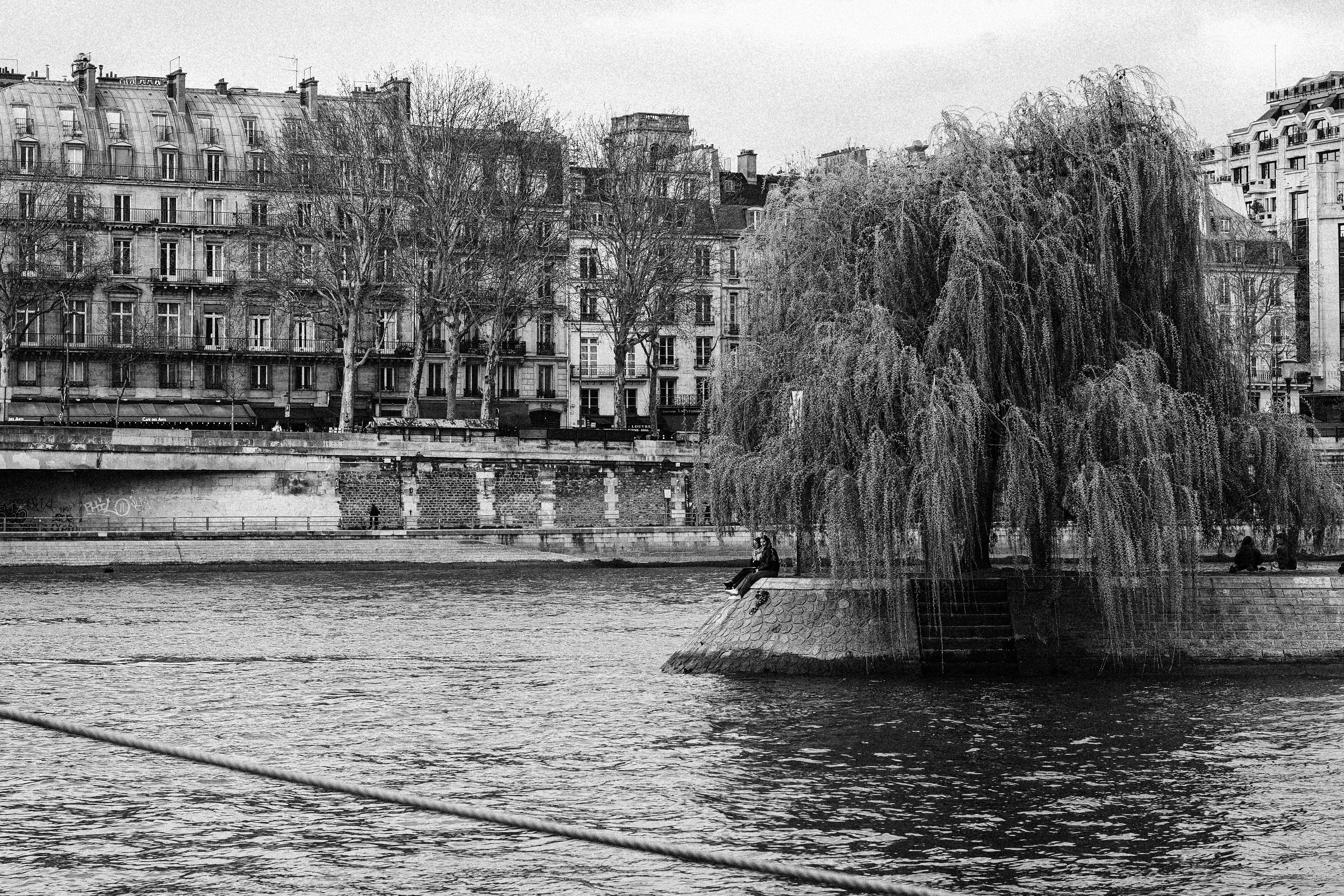 City by the Water: A Willowed Island and Historic Riverfront