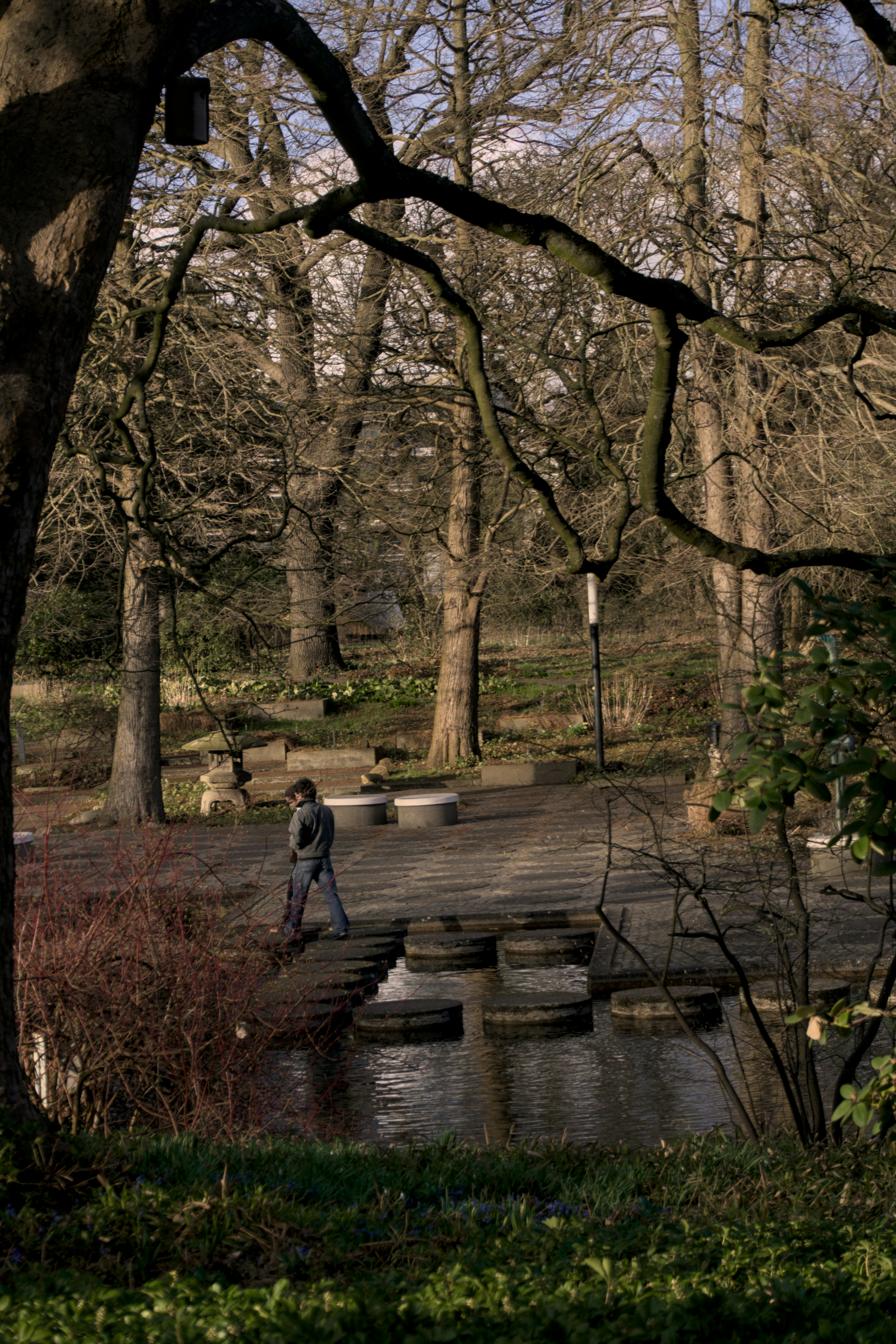 Quiet Walk by the Water Under a Tangle of Bare Branches