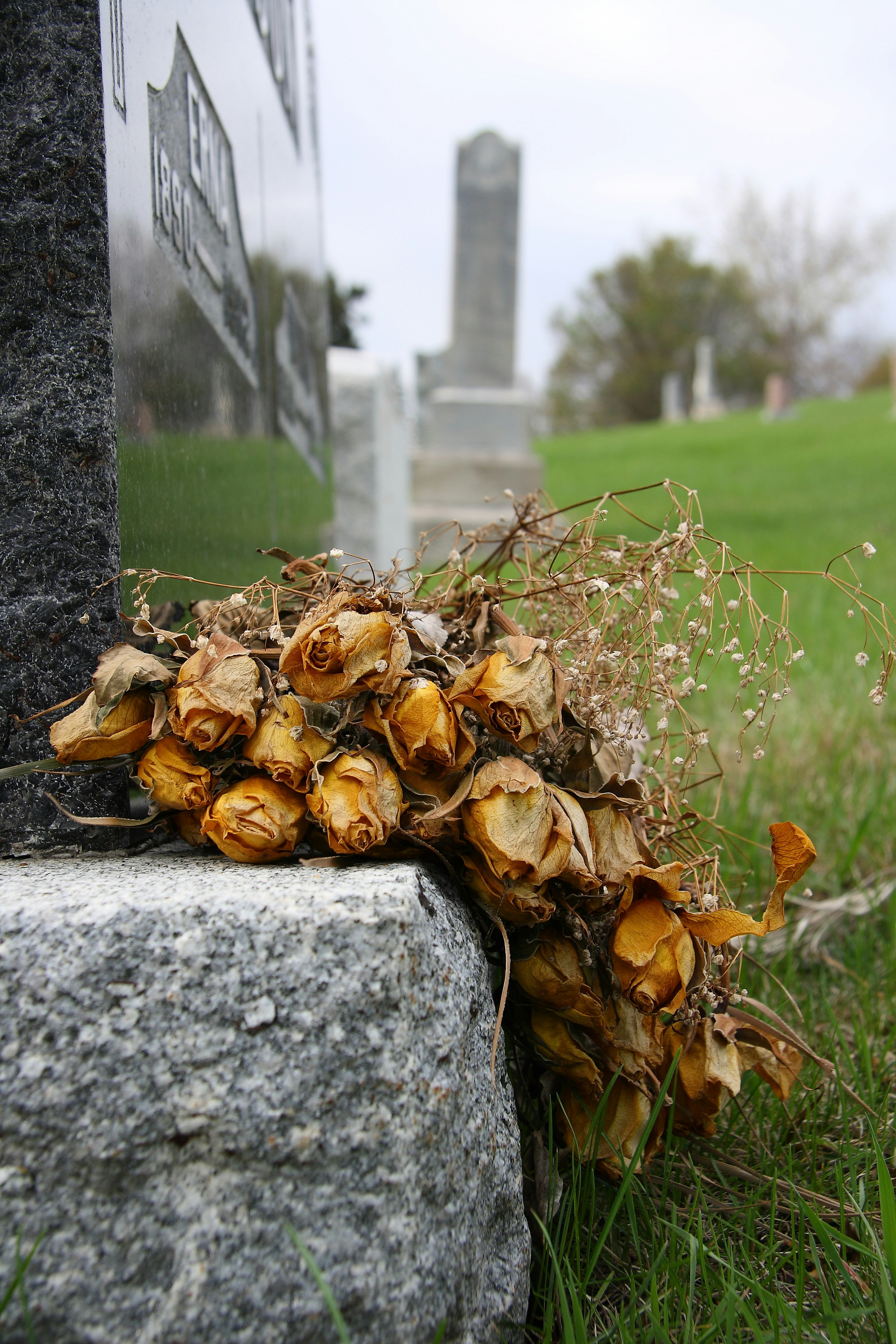 Yellow withered roses resting on a grave ledge in a cemetery