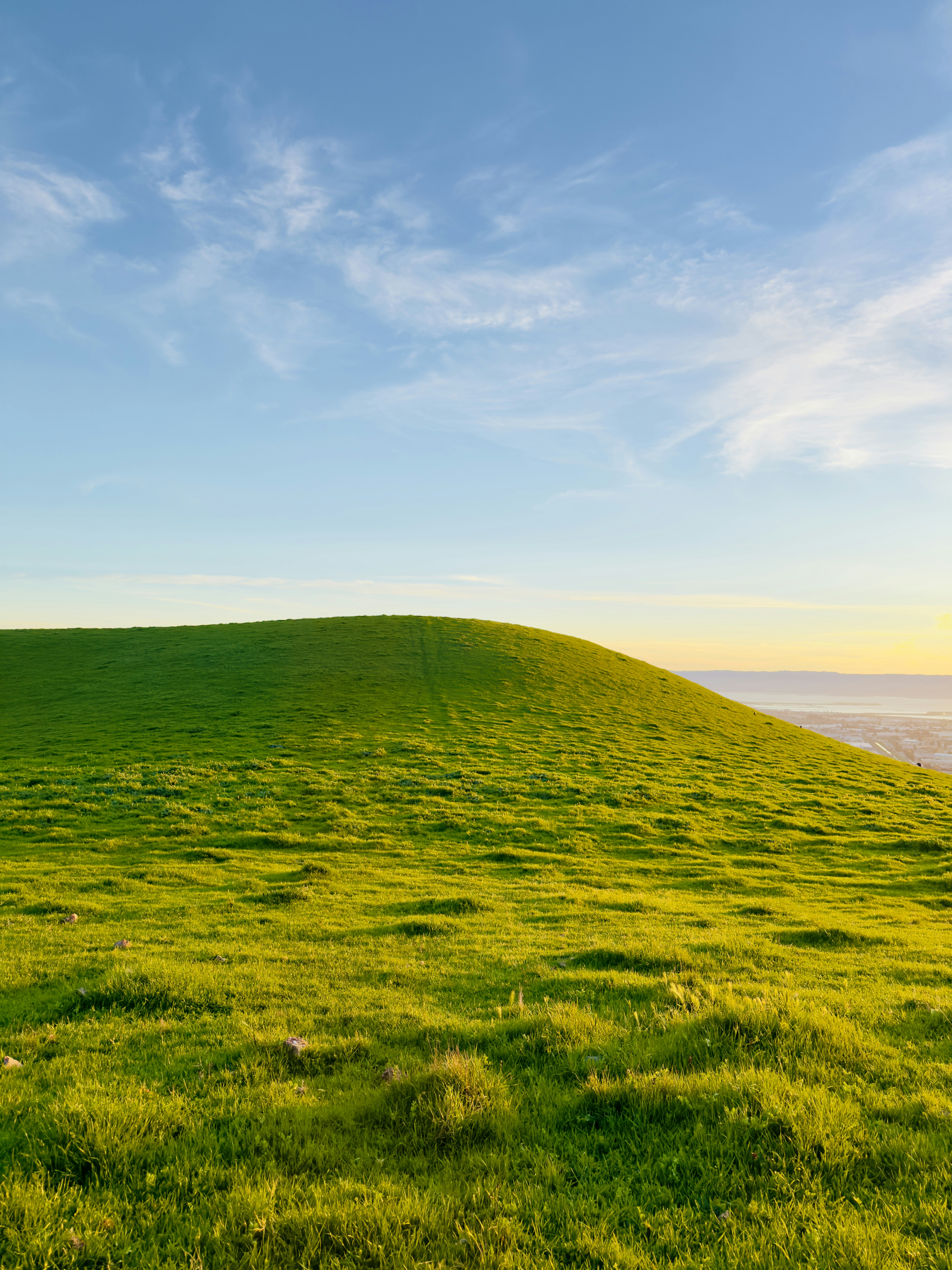 Horizon Curve: Sunlit Crest of the Green Hill