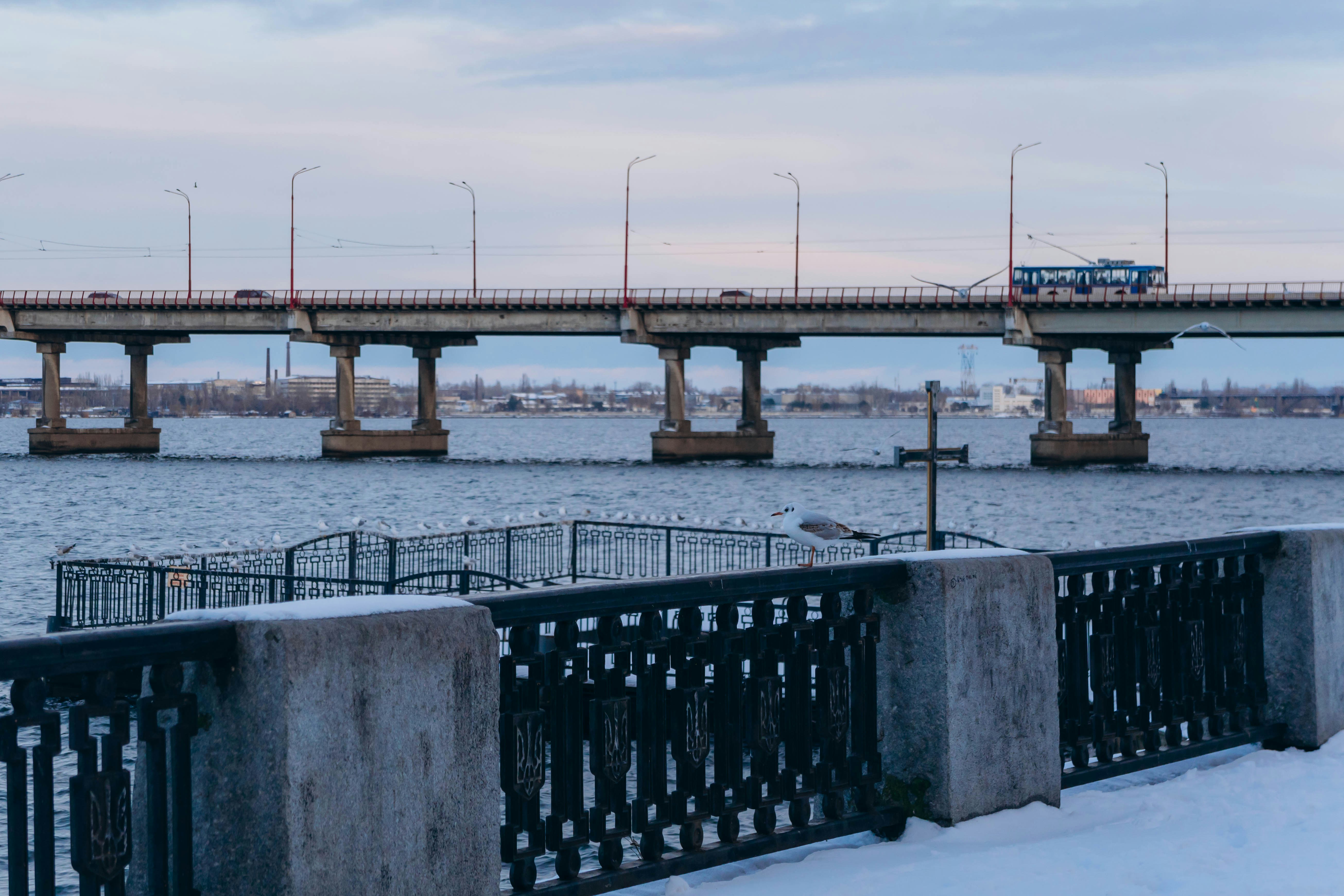 Bridge over a Quiet Winter Waterfront